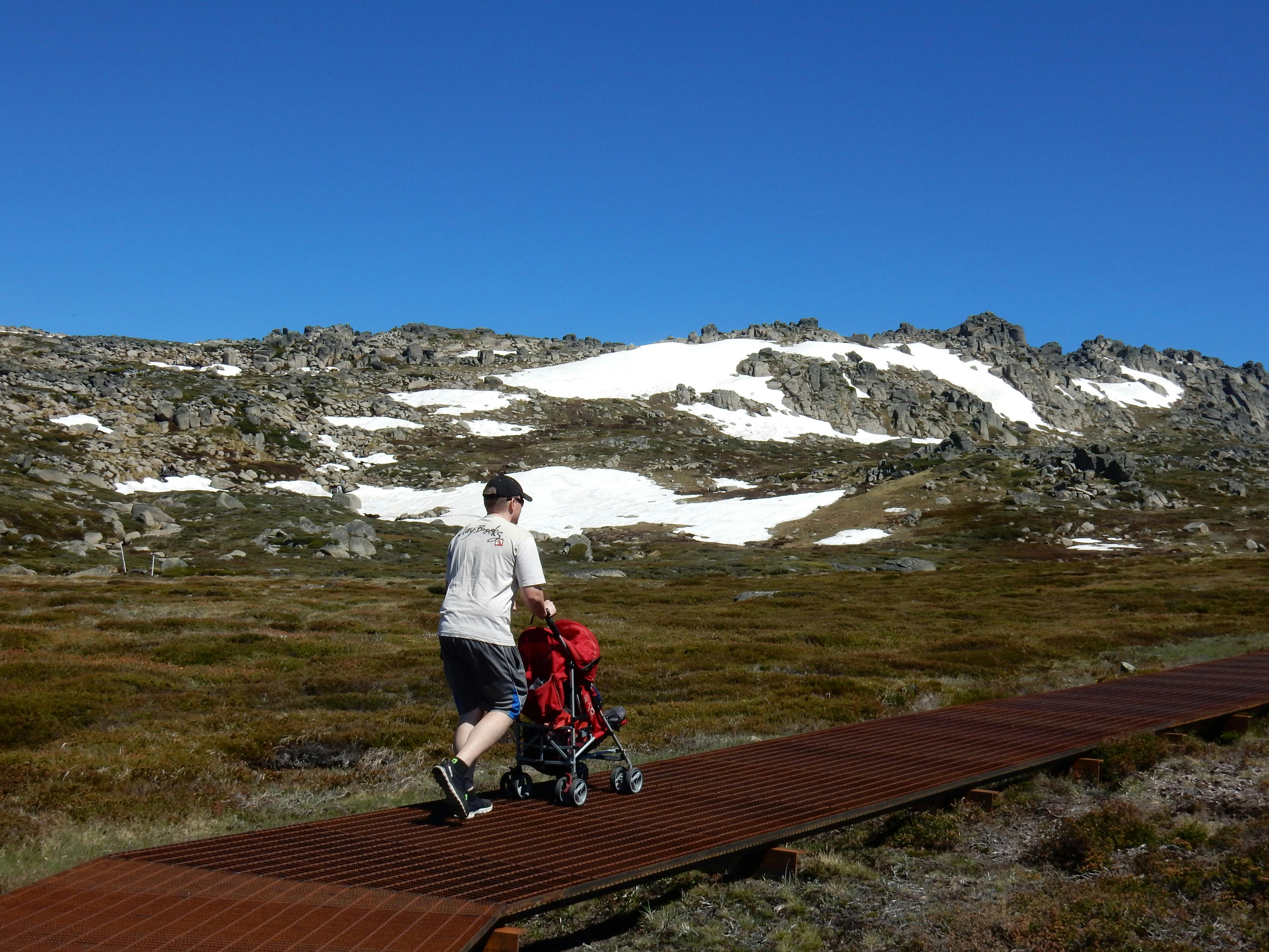 Tara Mcintosh - 摄影