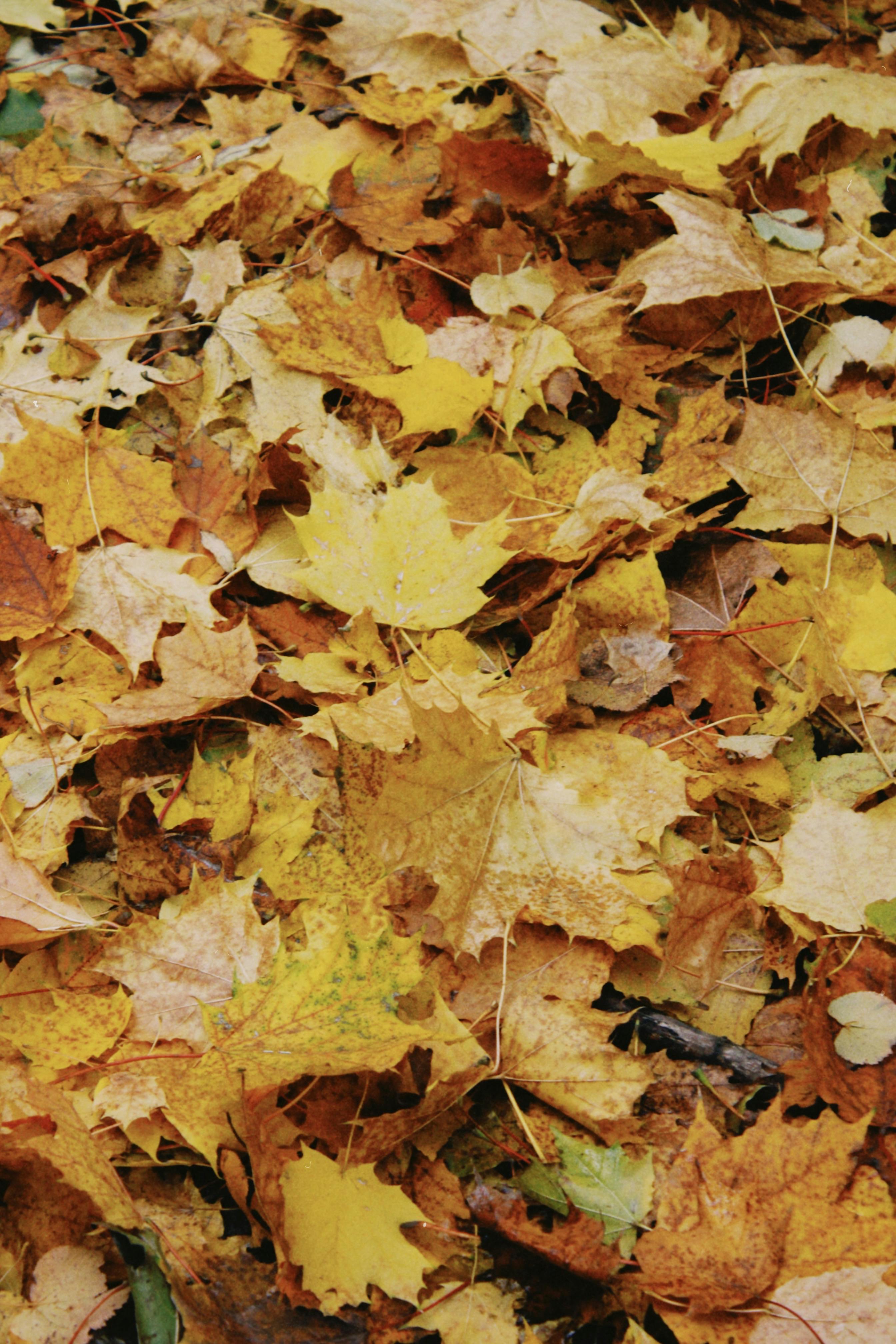 Grafolio+Wallpaper Photos, Download The BEST Free Grafolio+Wallpaper ...