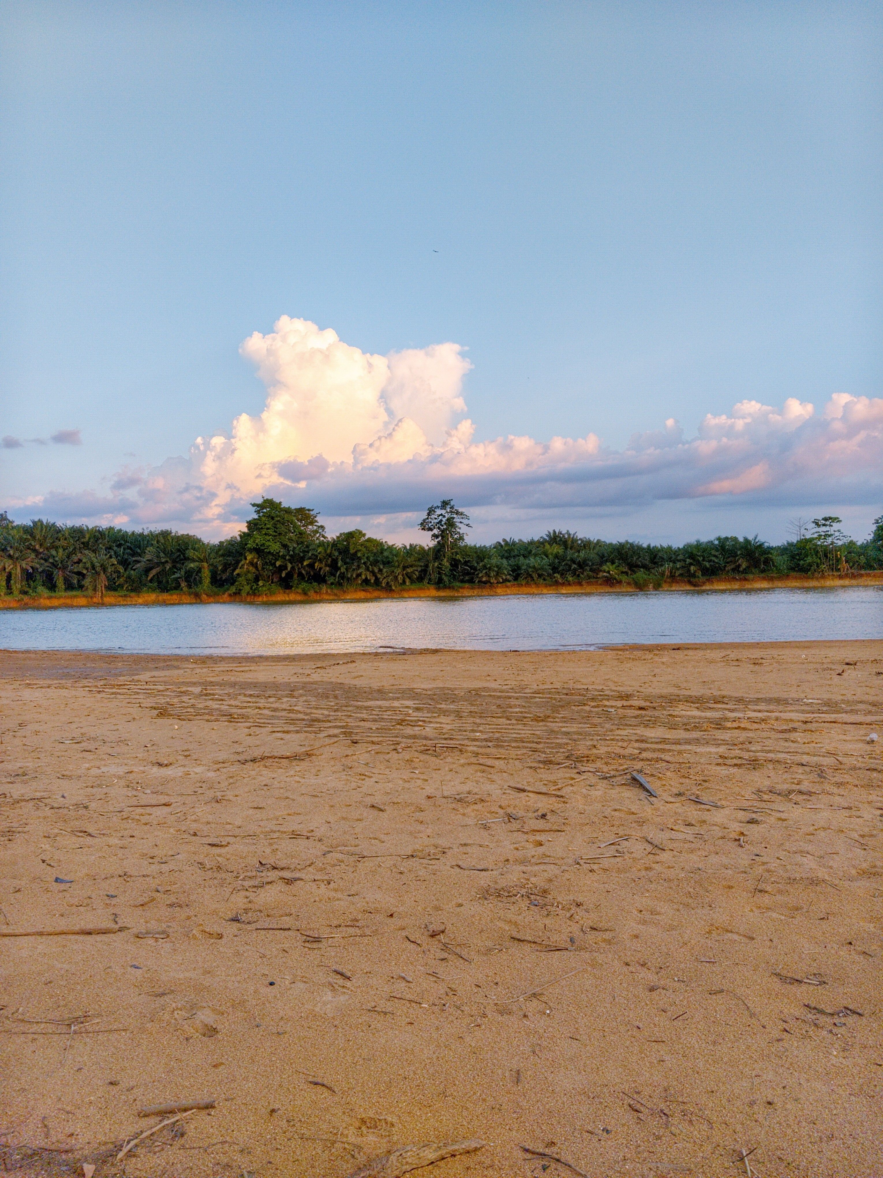 Serene Beachfront with Lush Greenery at Sunset · Free Stock Photo