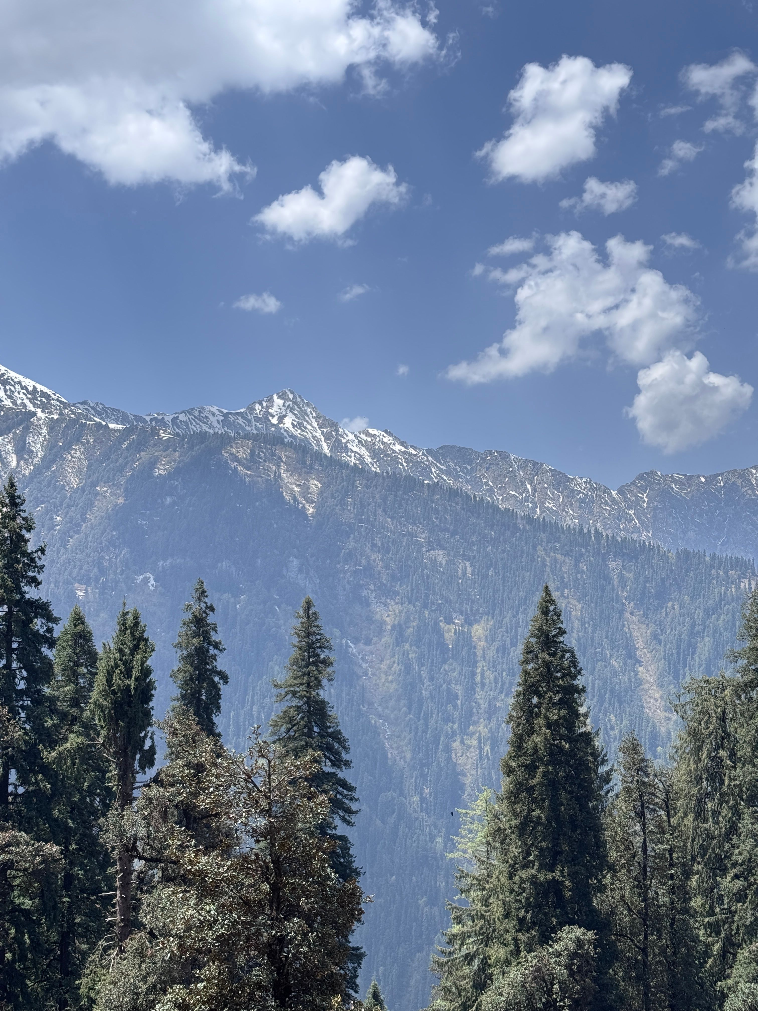 Snow-Capped Mountains and Evergreen Forest in Himalayas · Free Stock Photo