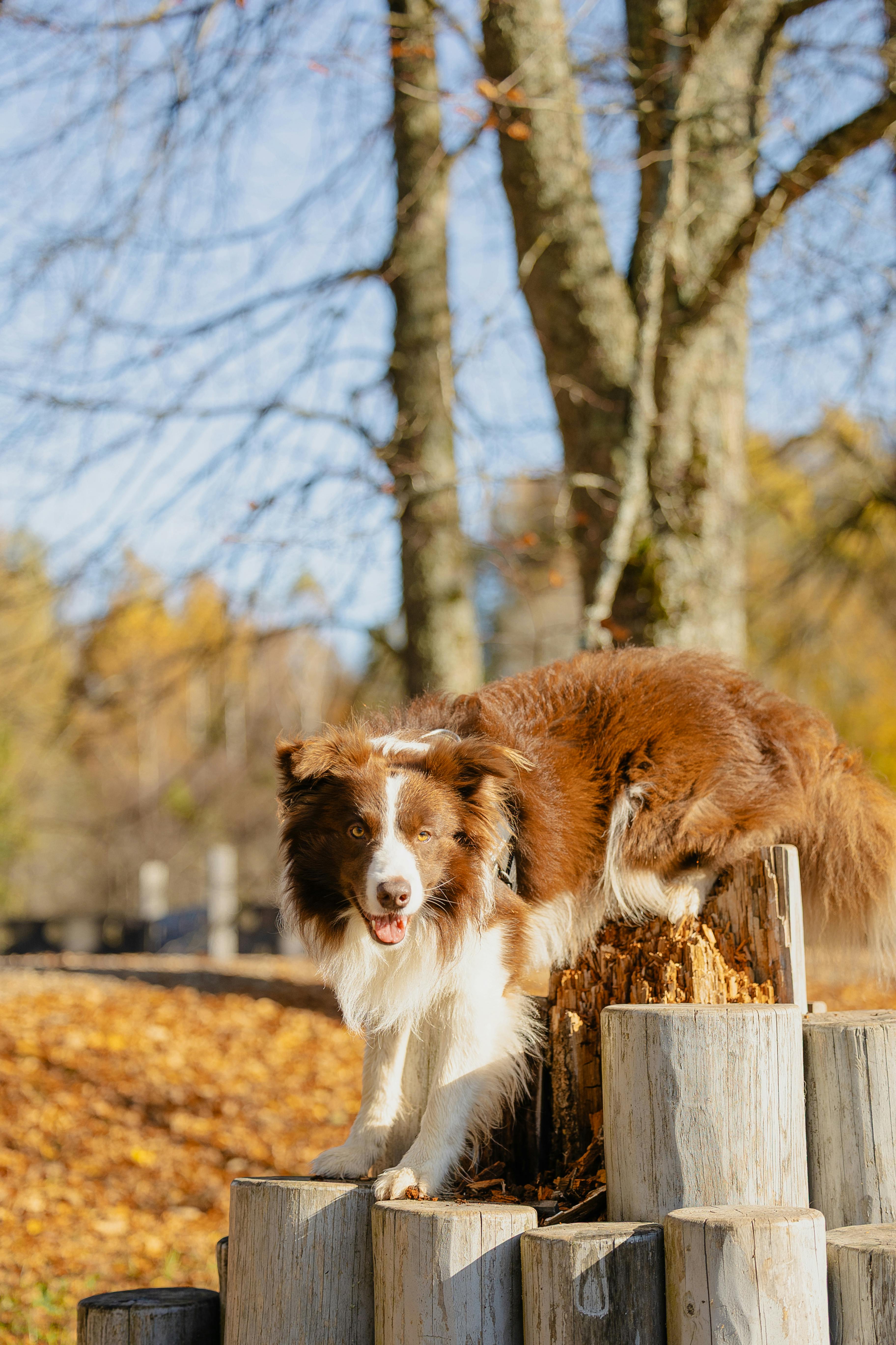 Light Borders Photos, Download The BEST Free Light Borders Stock Photos ...