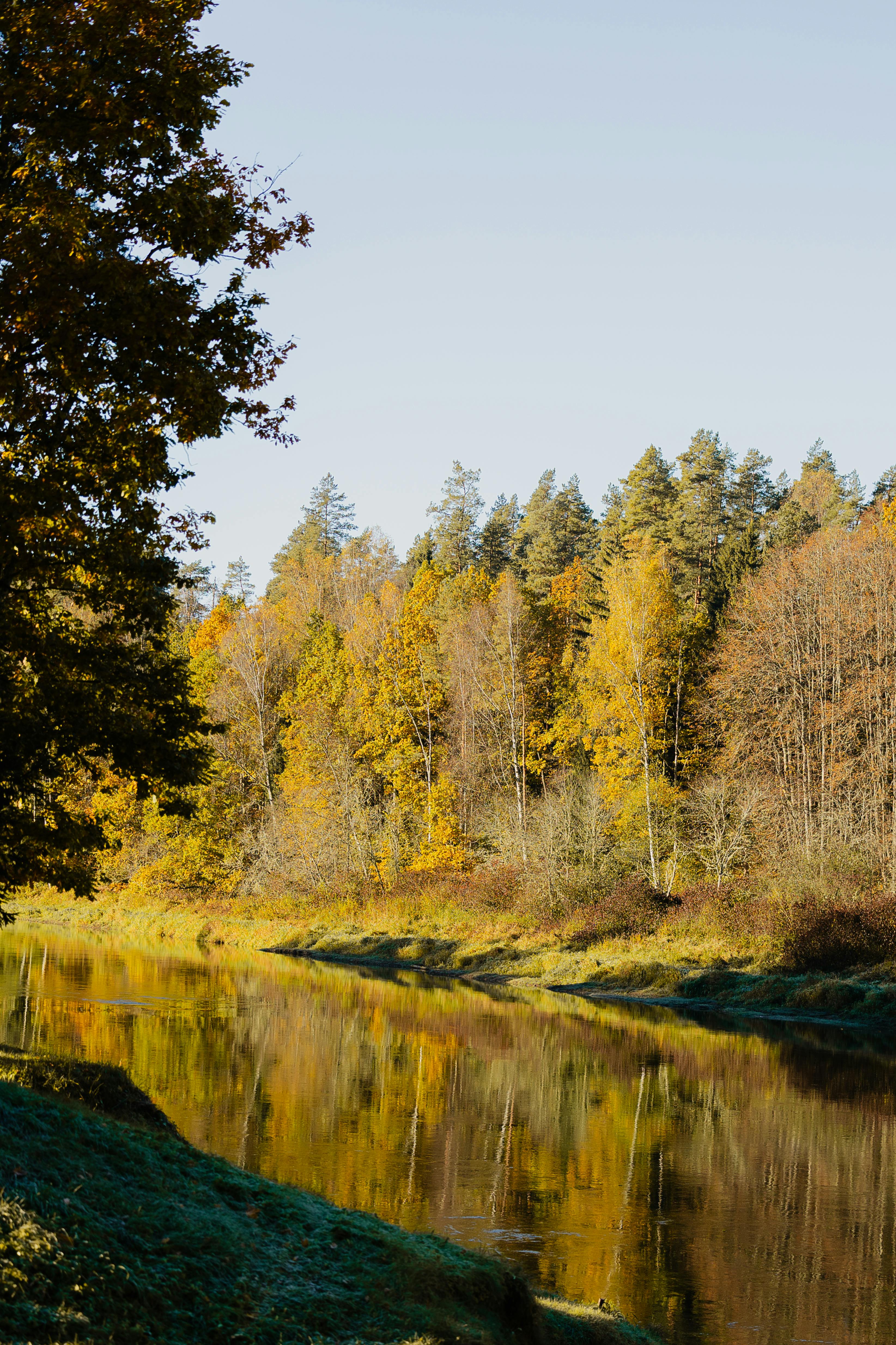 Troll+Images Photos, Download The BEST Free Troll+Images Stock Photos ...