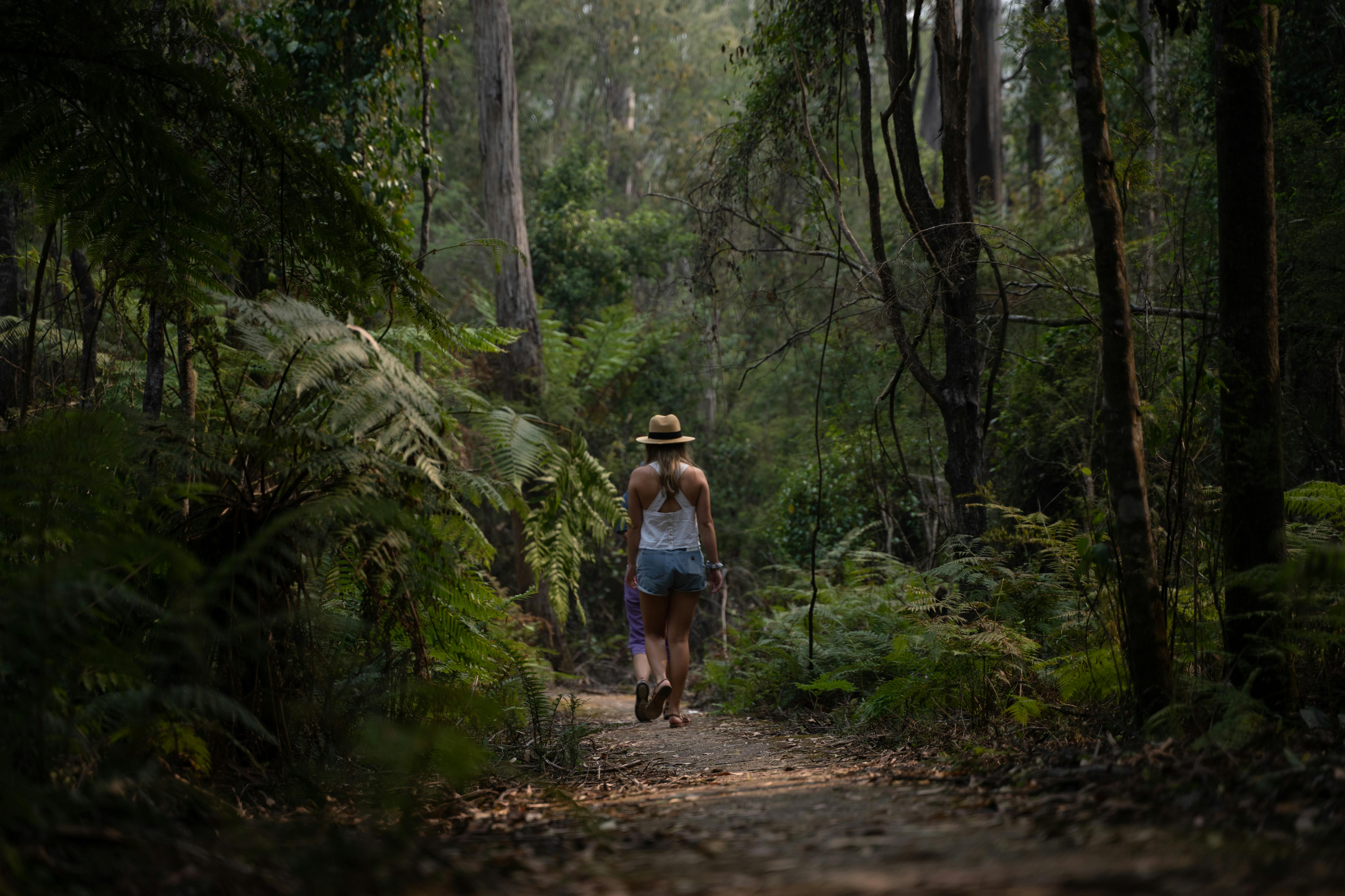 A Woman Walking in the Forest · Free Stock Photo