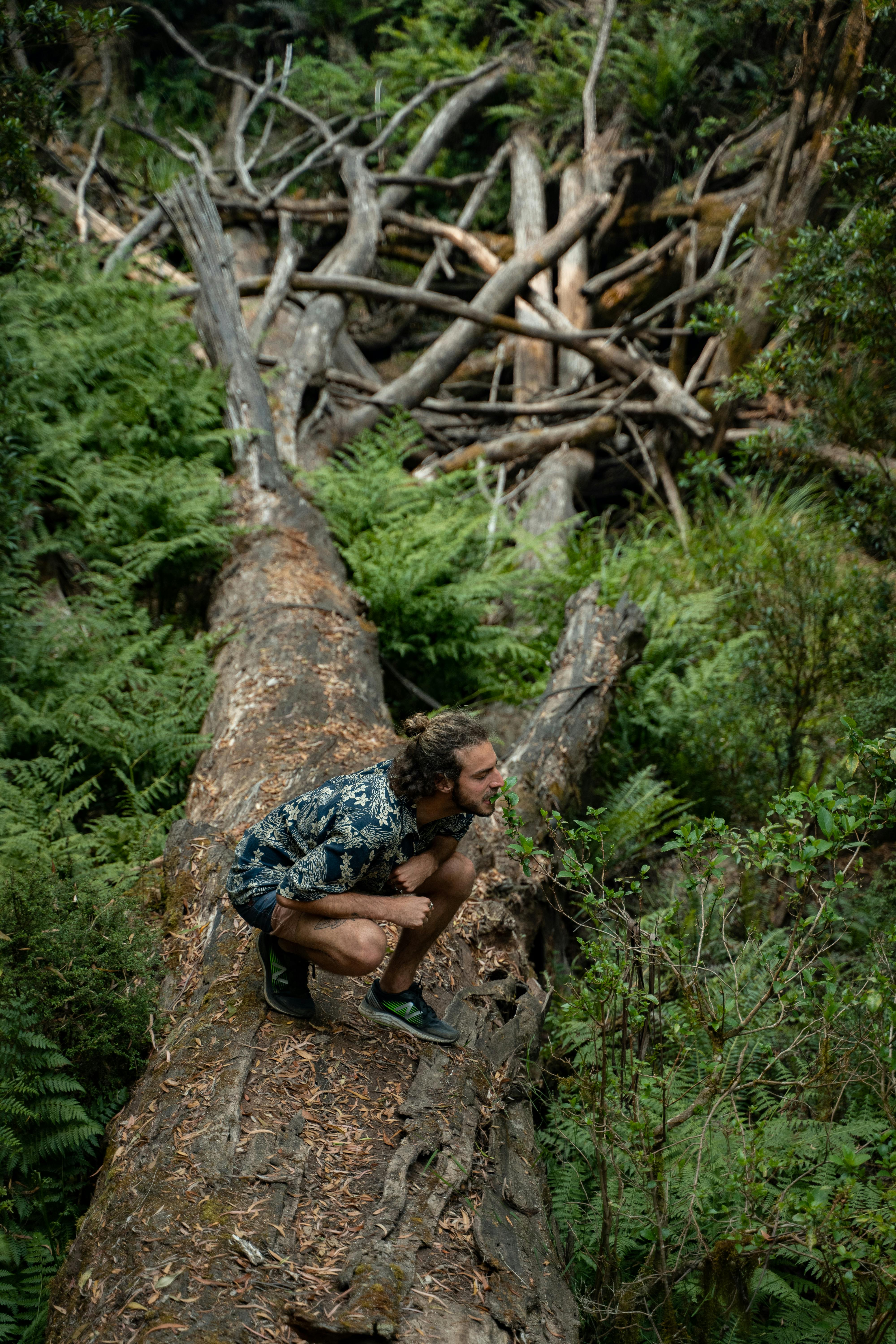 Man Sitting on Tree Log · Free Stock Photo