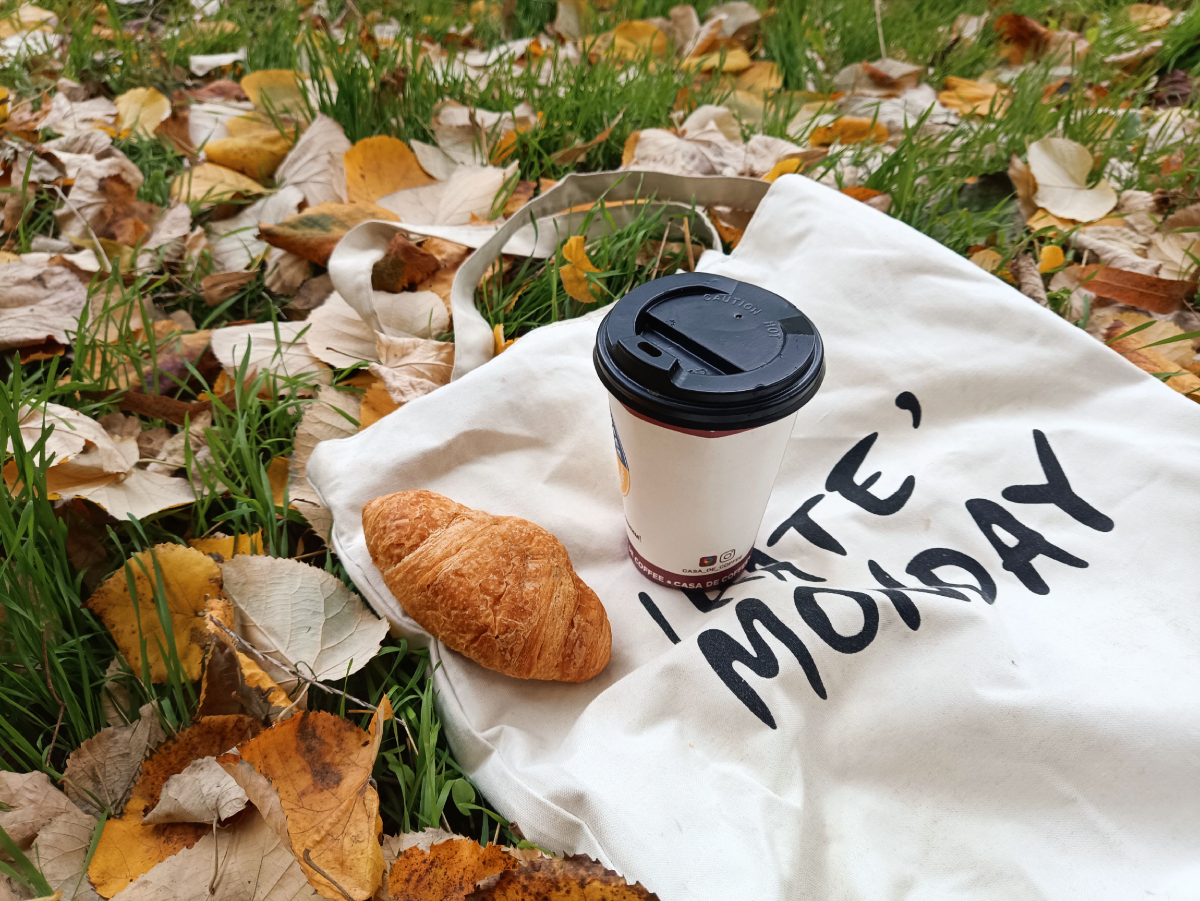 Good Morning Monday Photos, Download The BEST Free Good Morning Monday ...