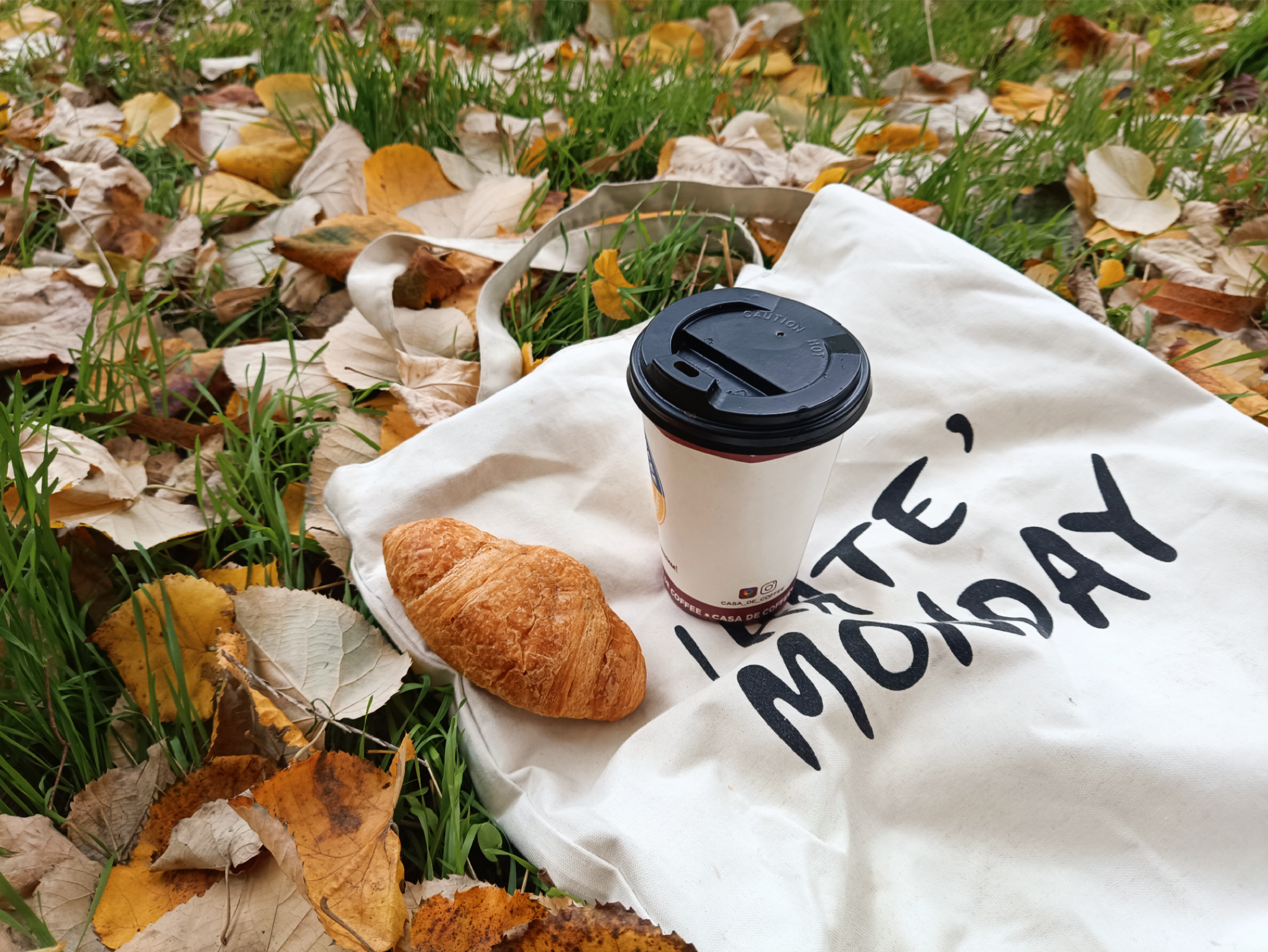Good+Morning+Cold+Monday+Gif Photos, Download The BEST Free Good ...