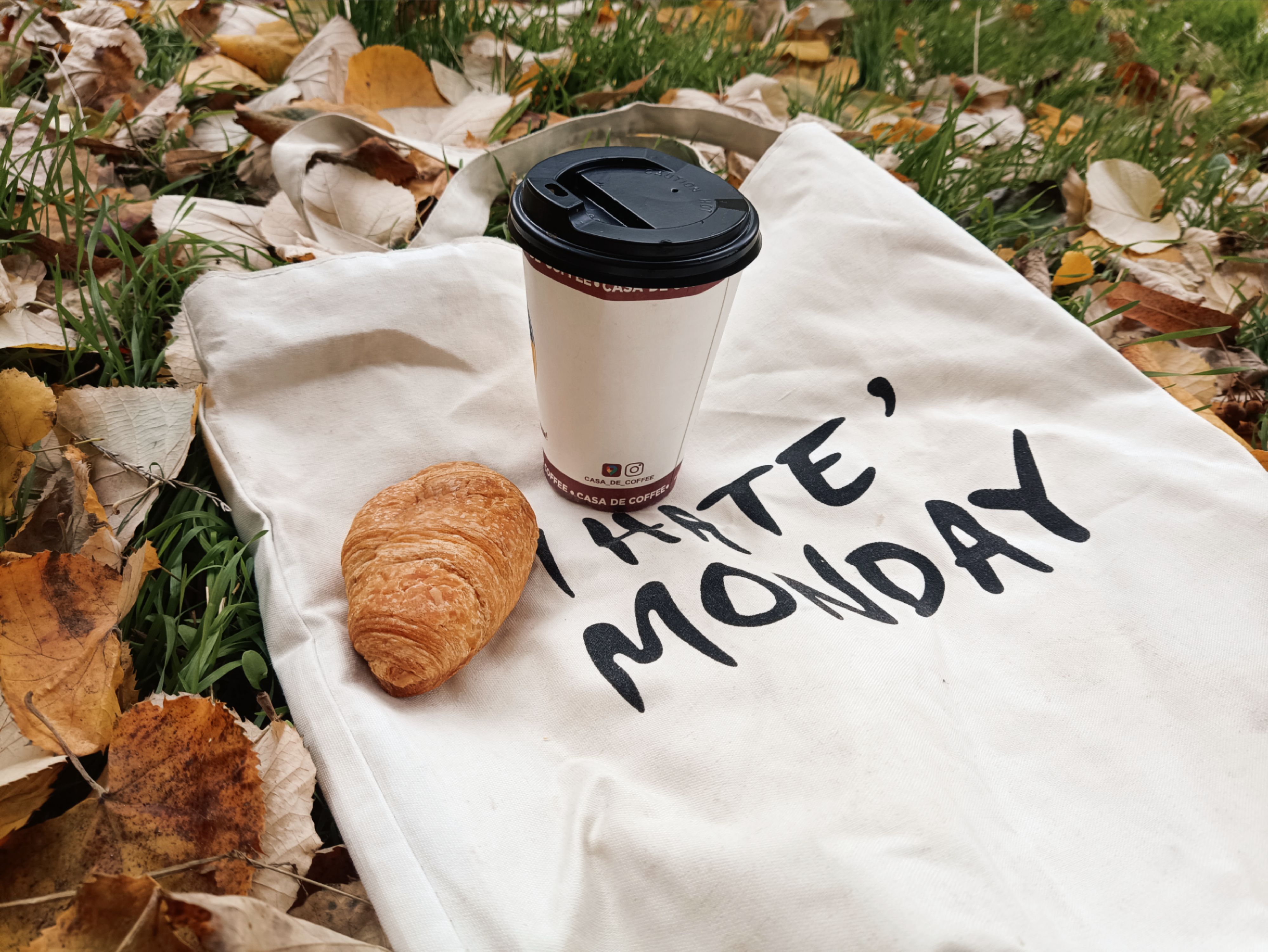 Good Morning Monday Photos, Download The BEST Free Good Morning Monday ...