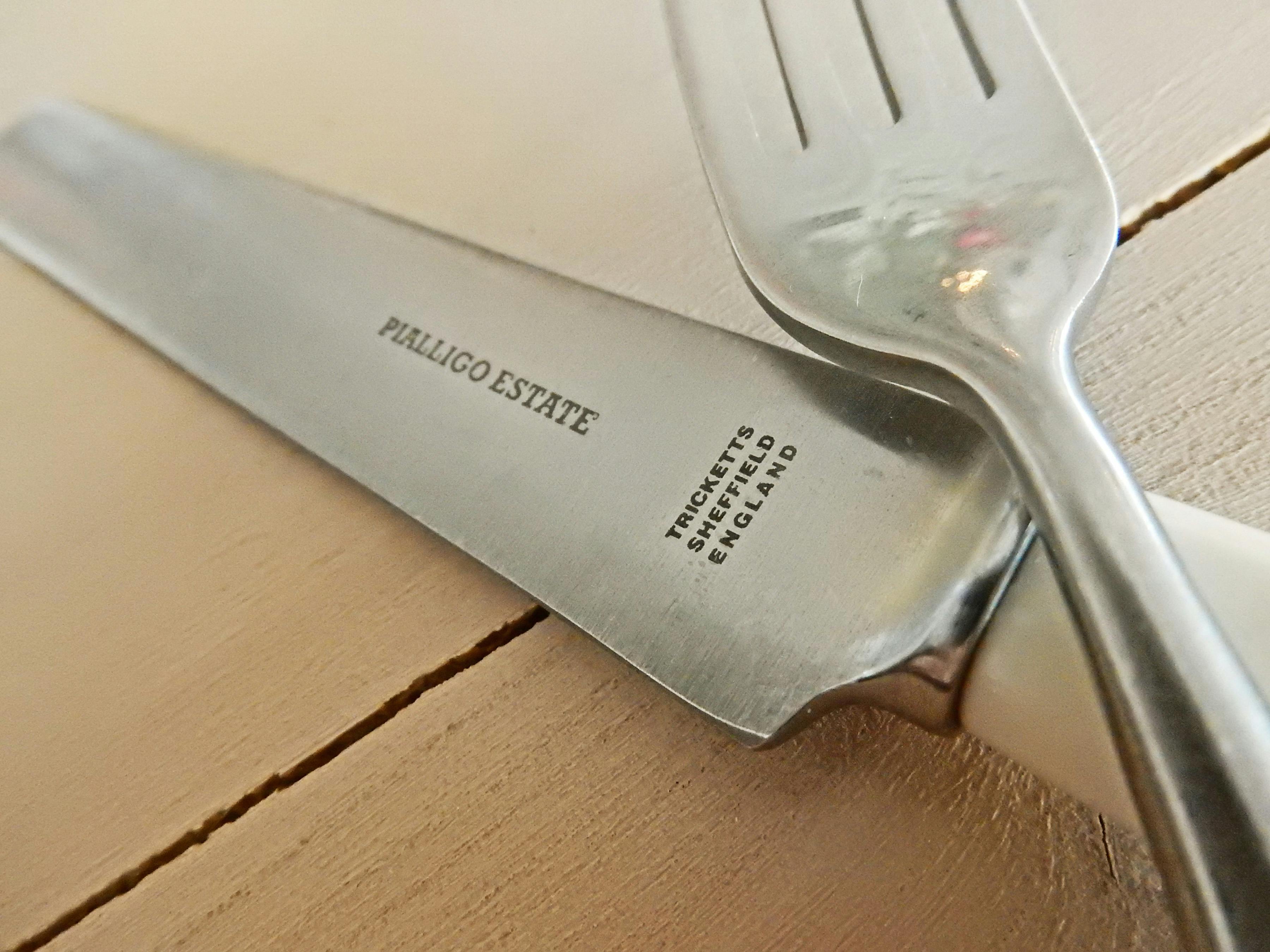 Tara Mcintosh - 摄影