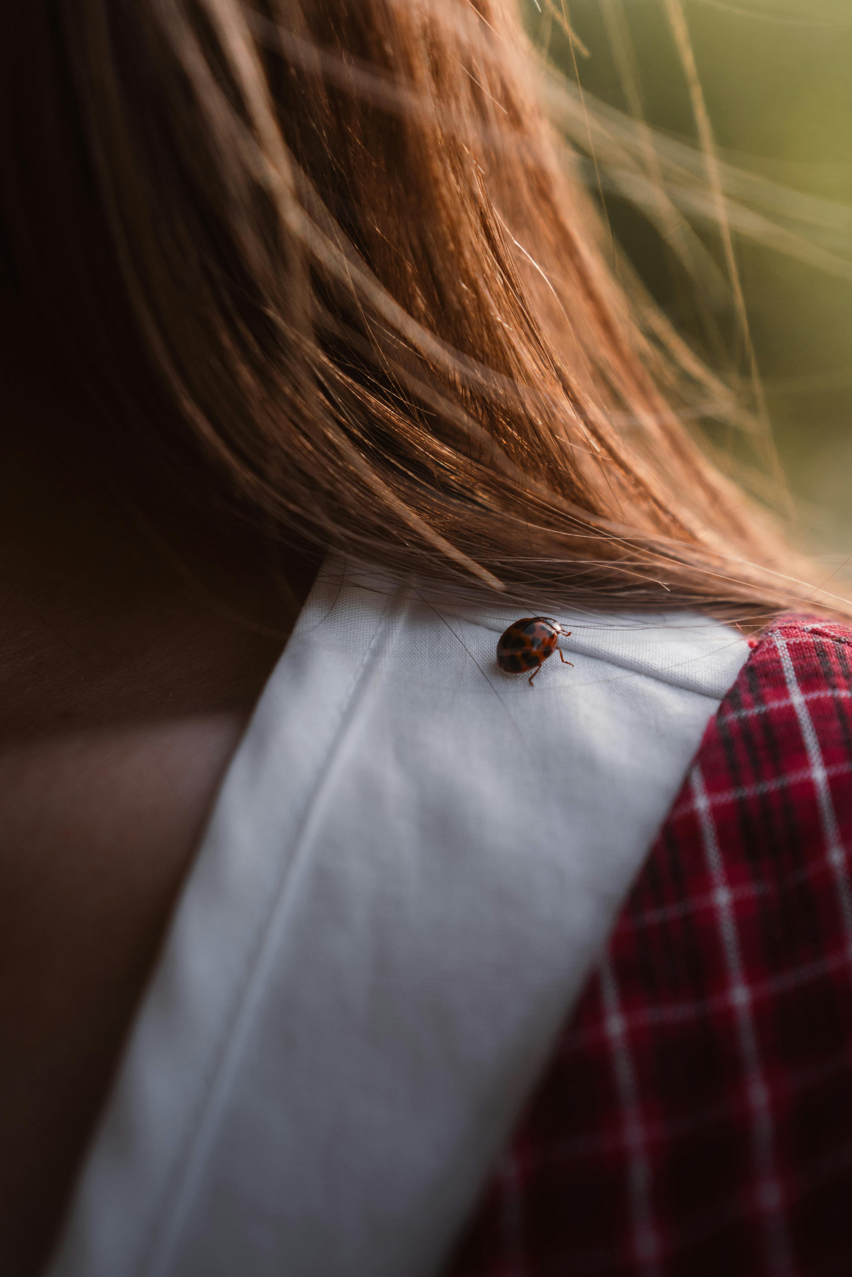 4k Red And Black Desktop Wallpaper Photos, Download The BEST Free 4k ...