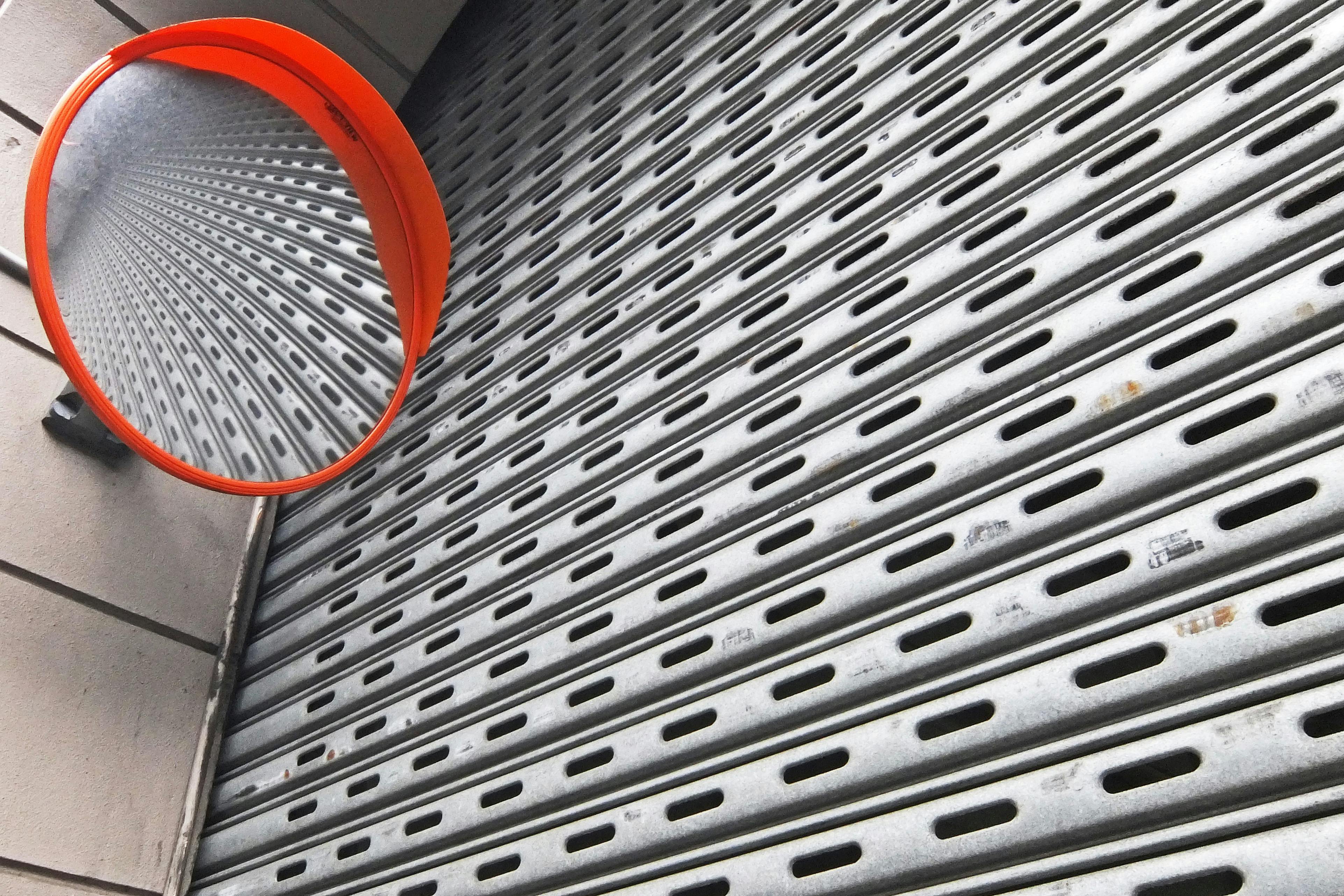 Tara Mcintosh - 攝影