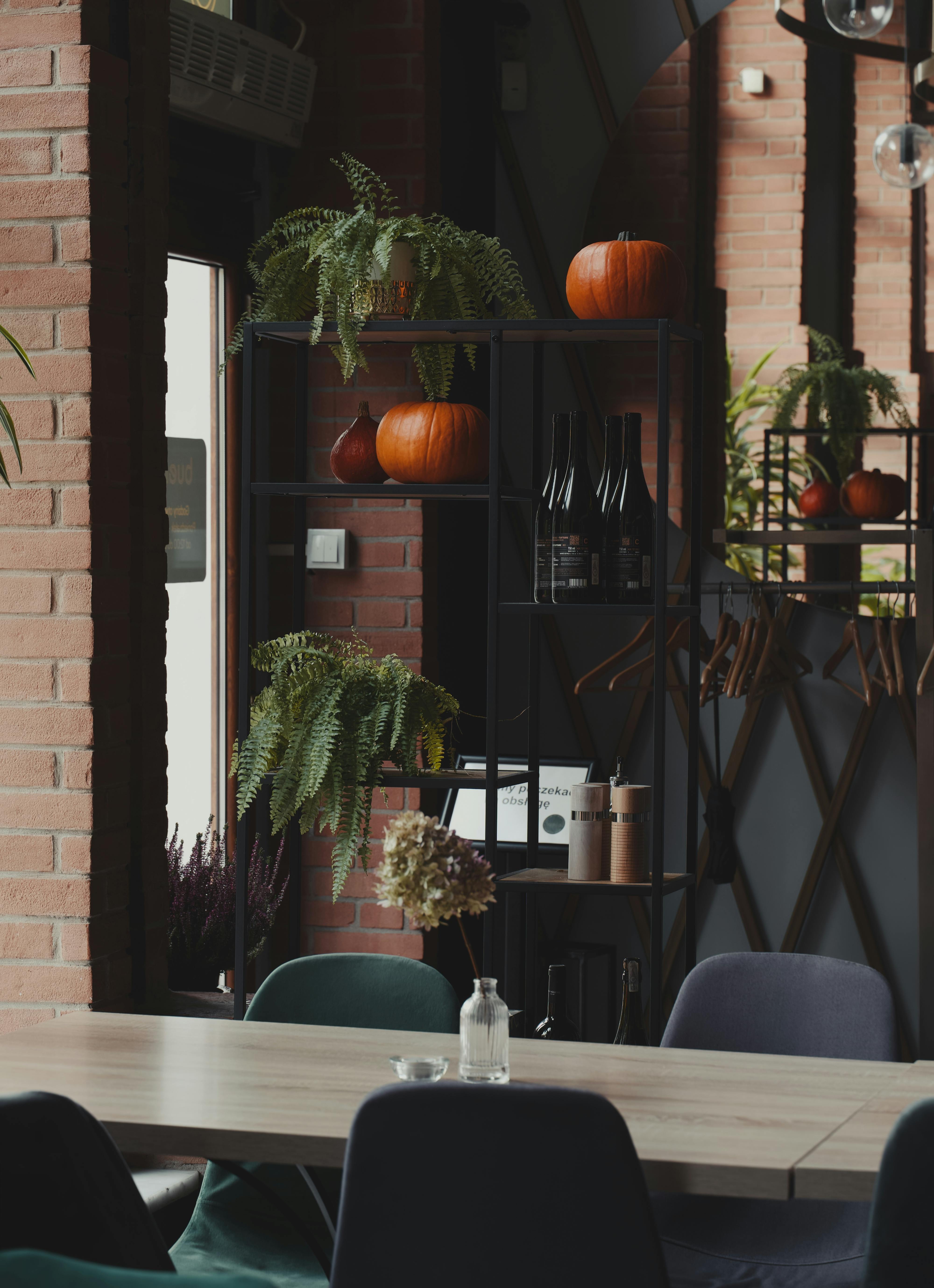 Fall Welcome Photos, Download The BEST Free Fall Welcome Stock Photos ...