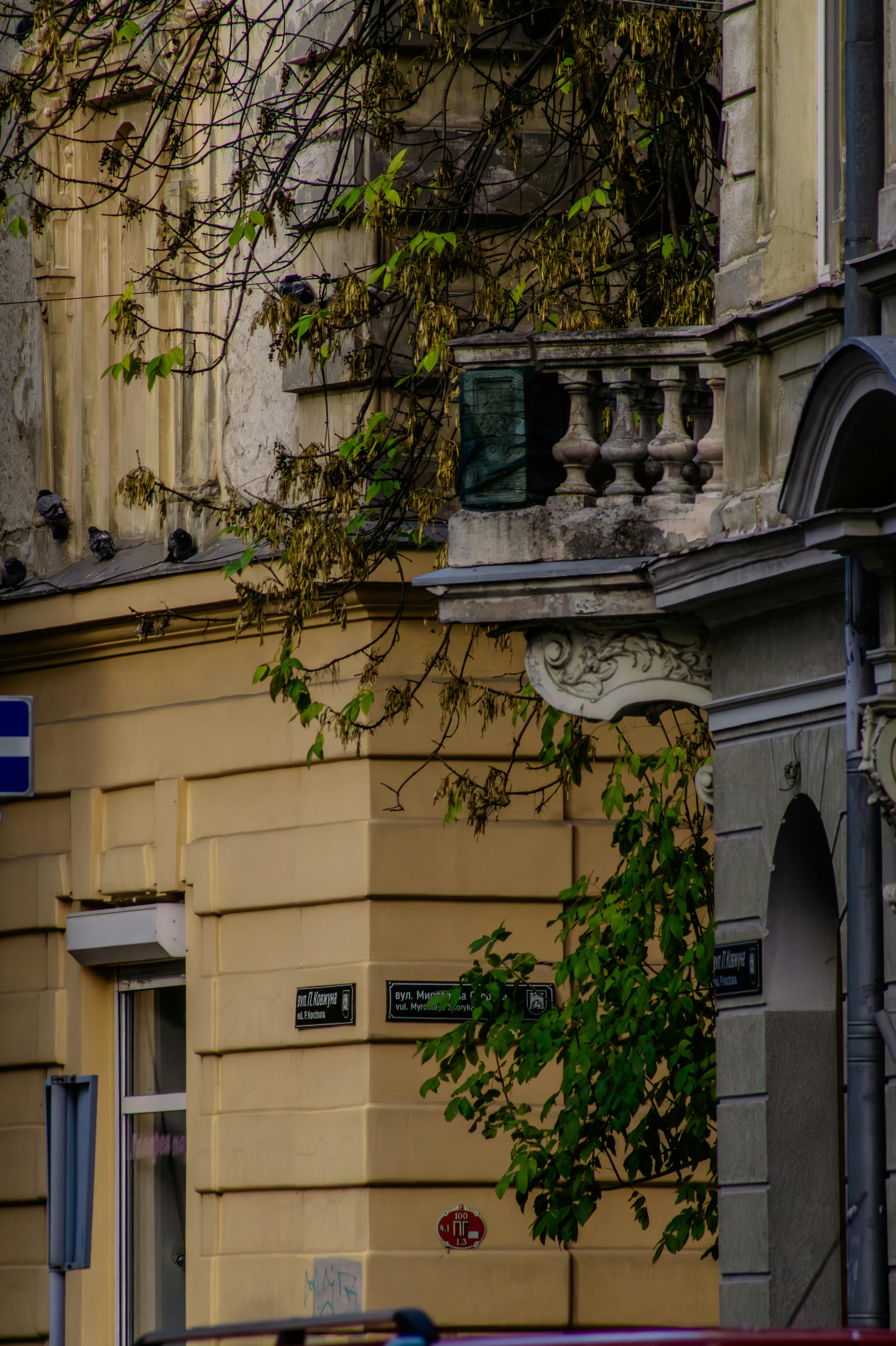 Isos Photos, Download The BEST Free Isos Stock Photos & HD Images