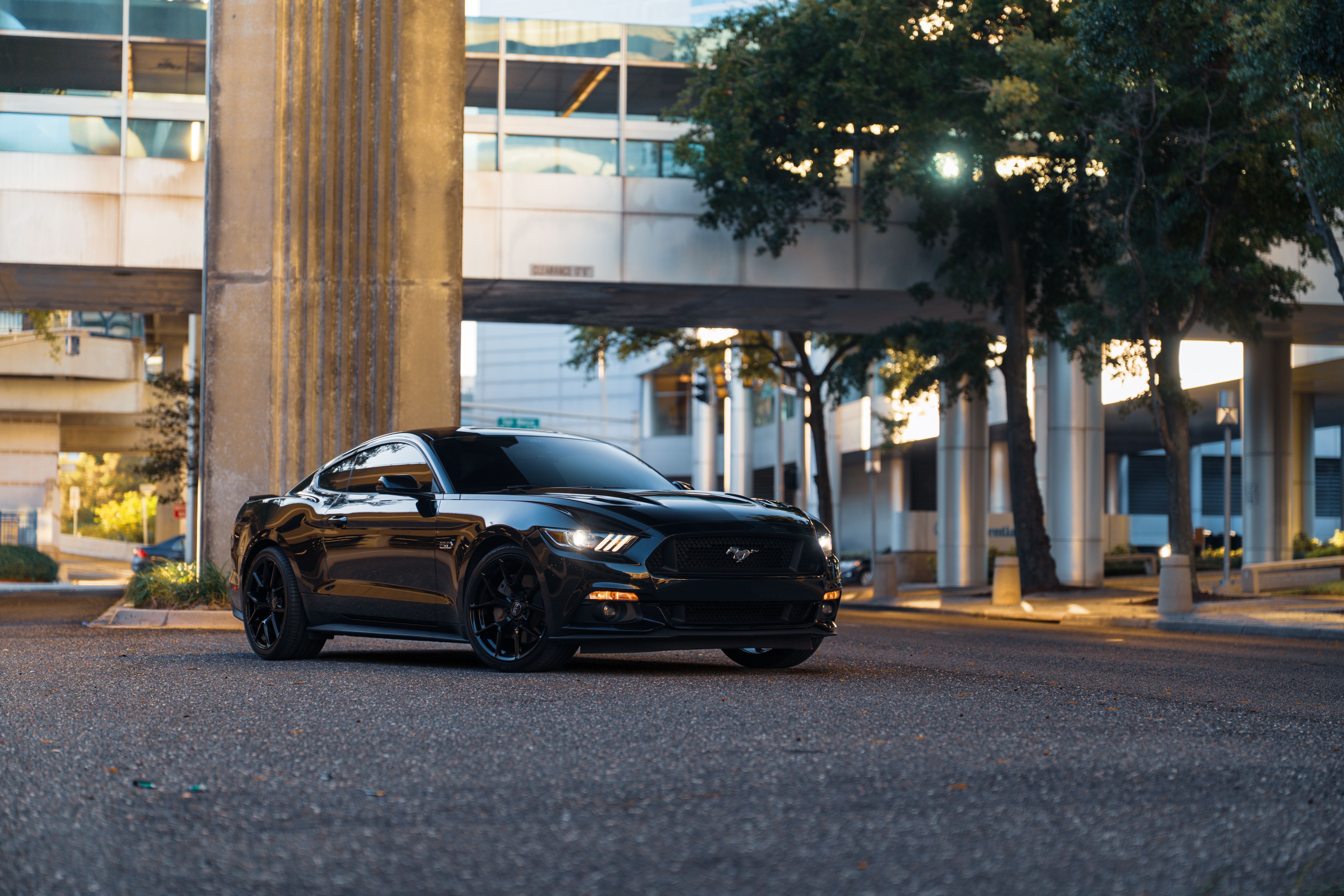 Sleek Black Car Under Urban Overpass at Dusk · Free Stock Photo