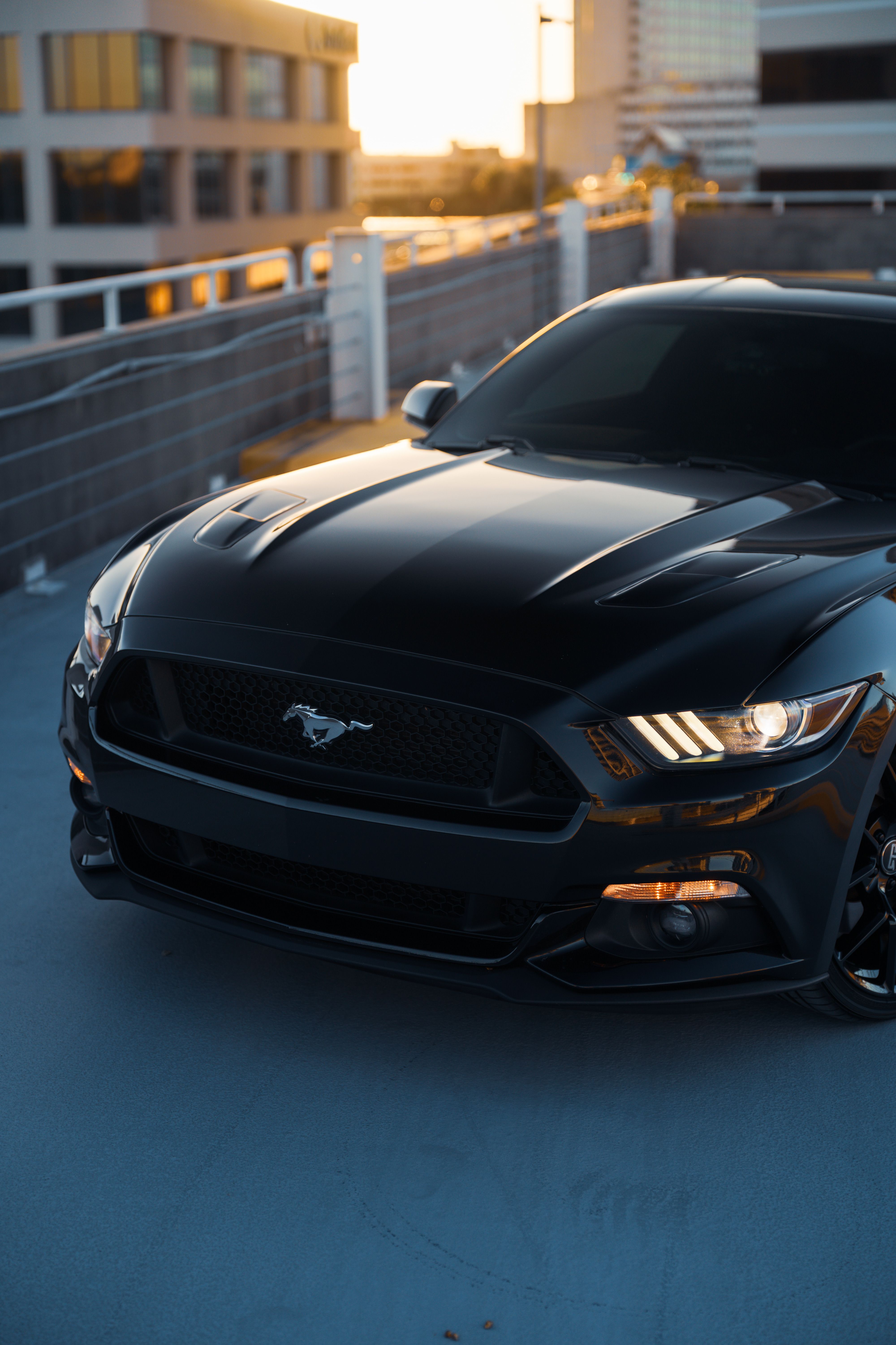 A Ford Mustang GT Parked on the Side of a Street with Palm Trees · Free ...