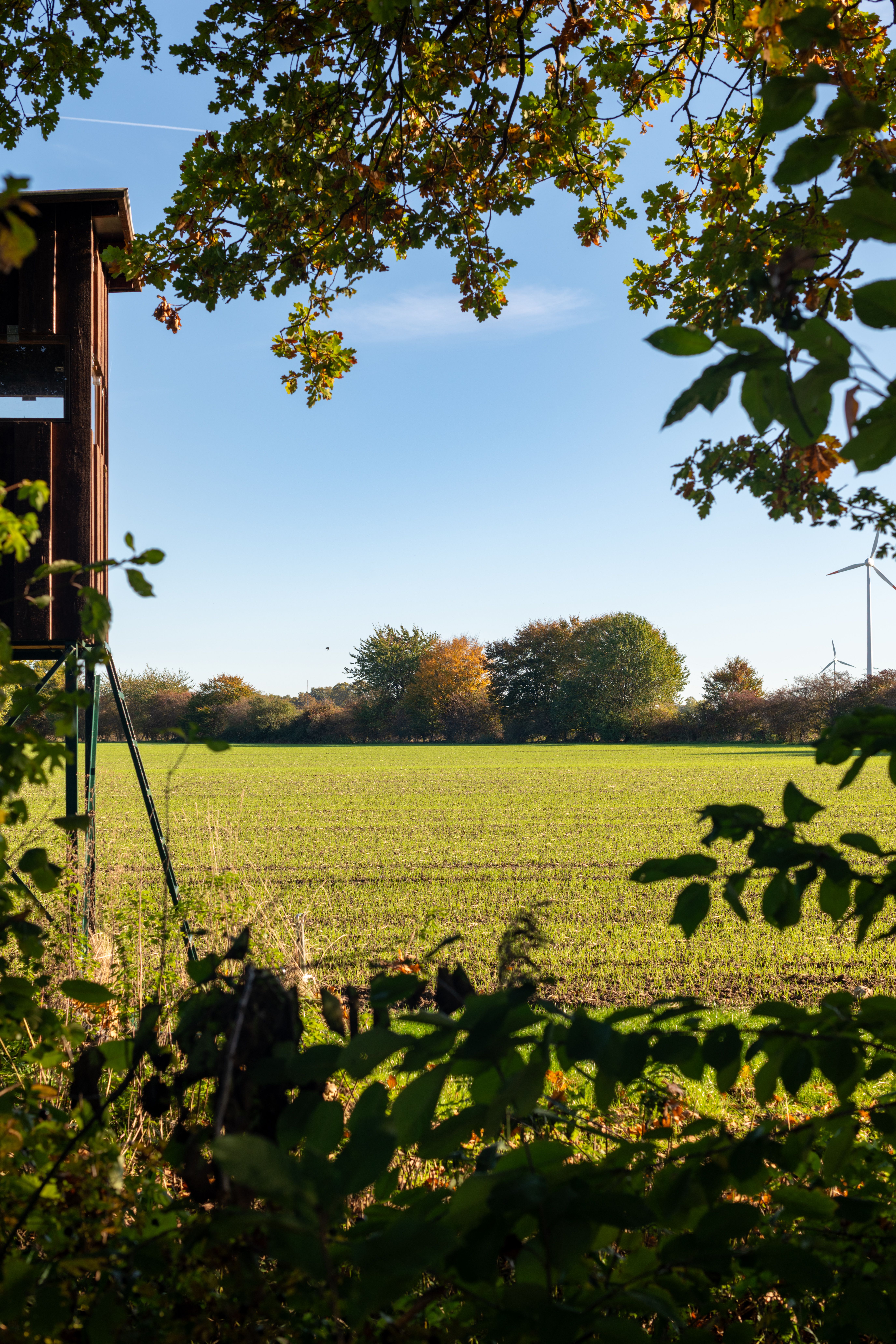 Scenic Rural Landscape with Wooden Observation Tower · Free Stock Photo
