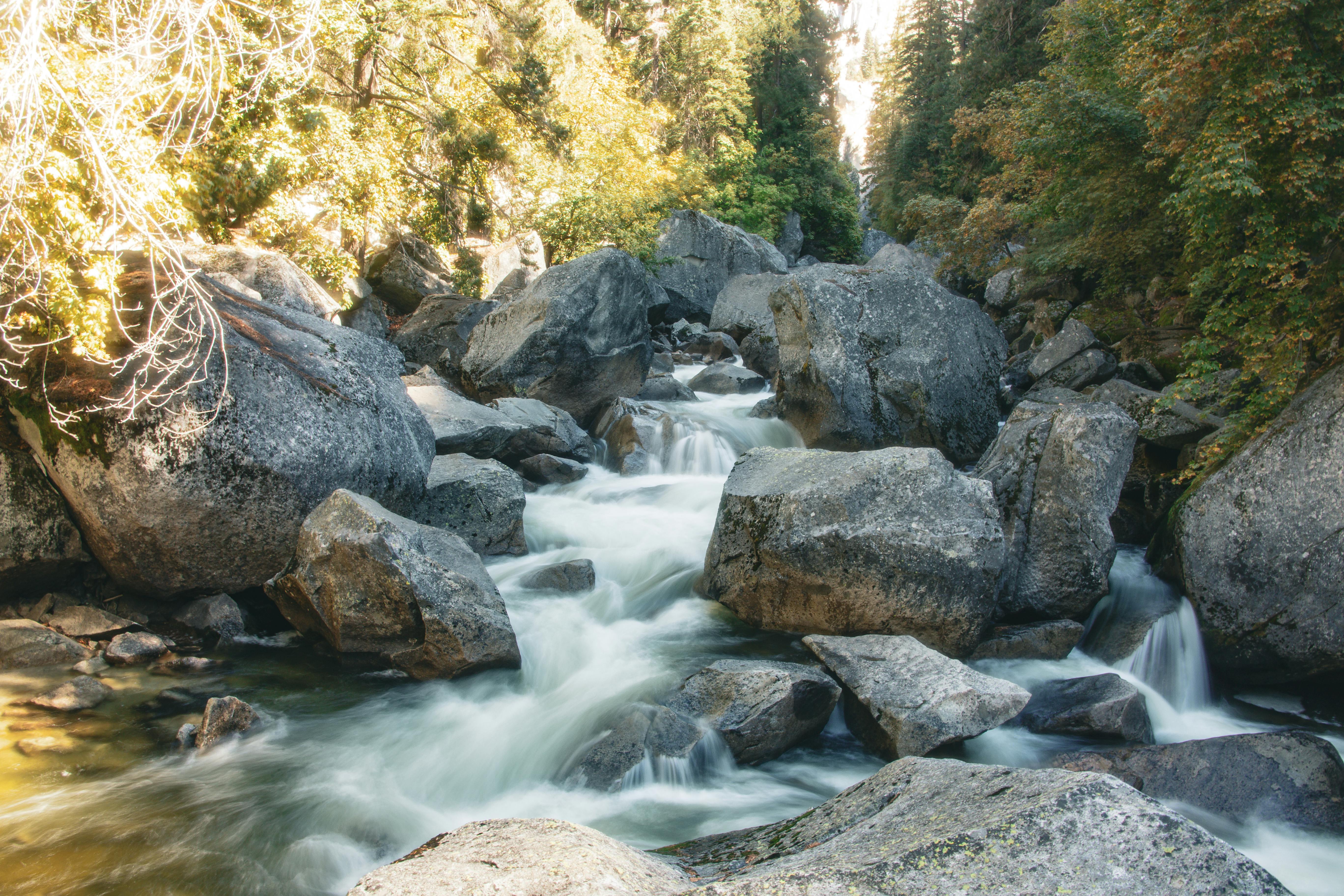 Clean Environment Photos, Download The BEST Free Clean Environment ...