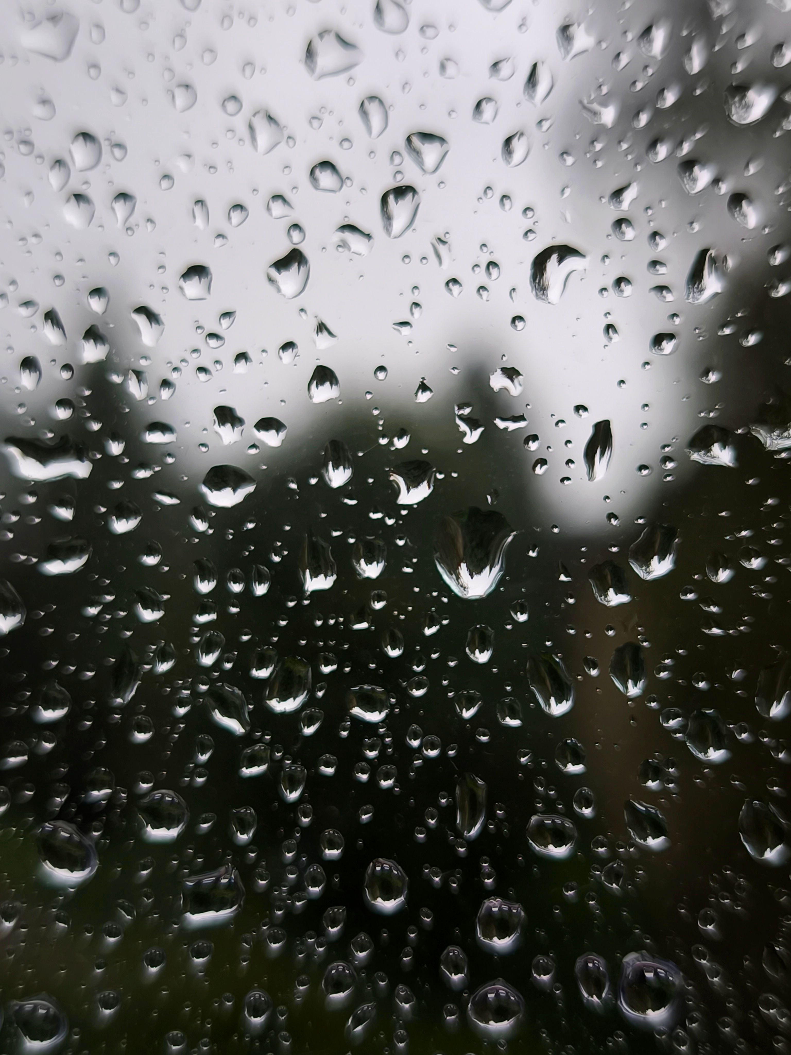 Raindrops Photos, Download The BEST Free Raindrops Stock Photos & HD Images