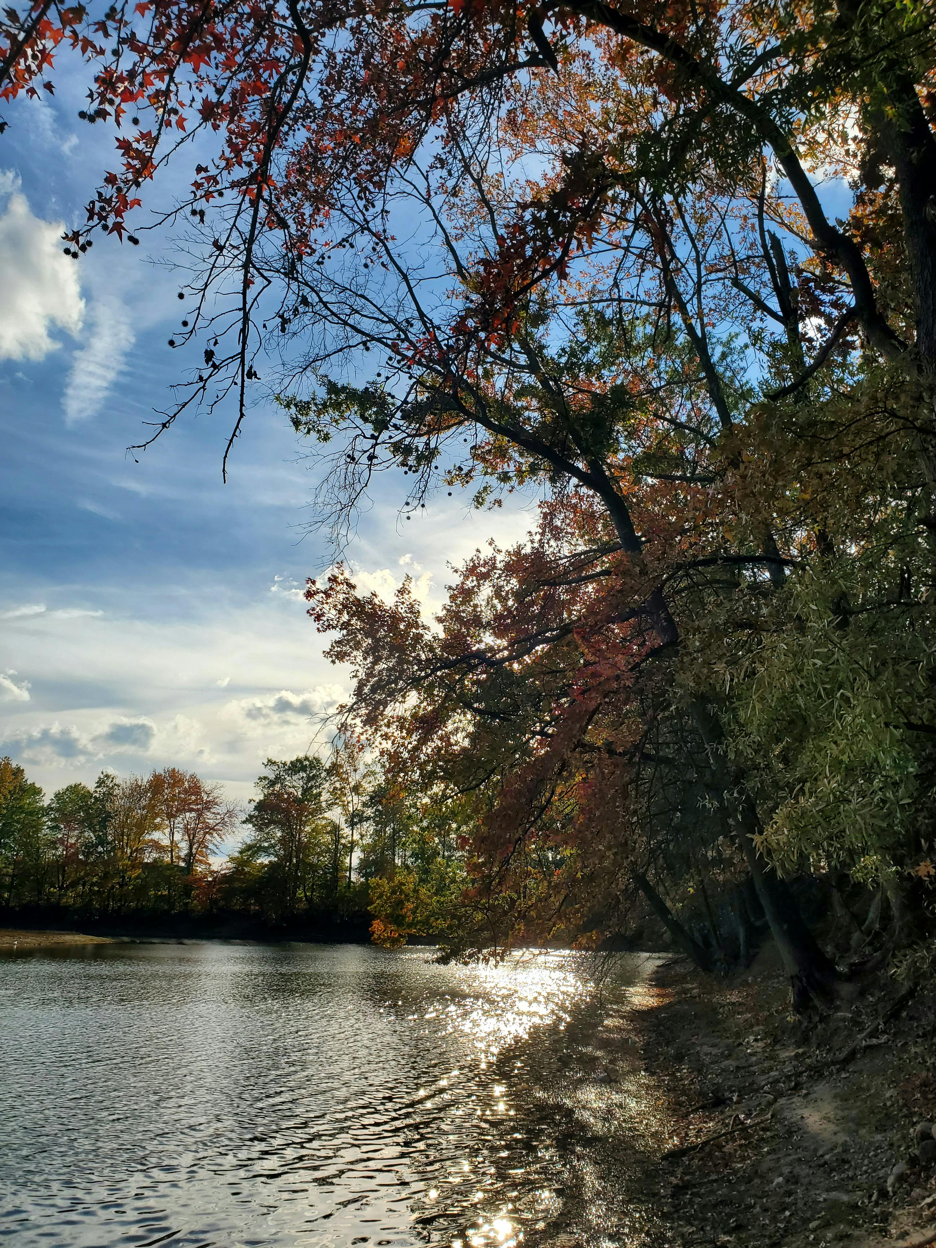 Colorful Landscape Photos, Download The BEST Free Colorful Landscape ...