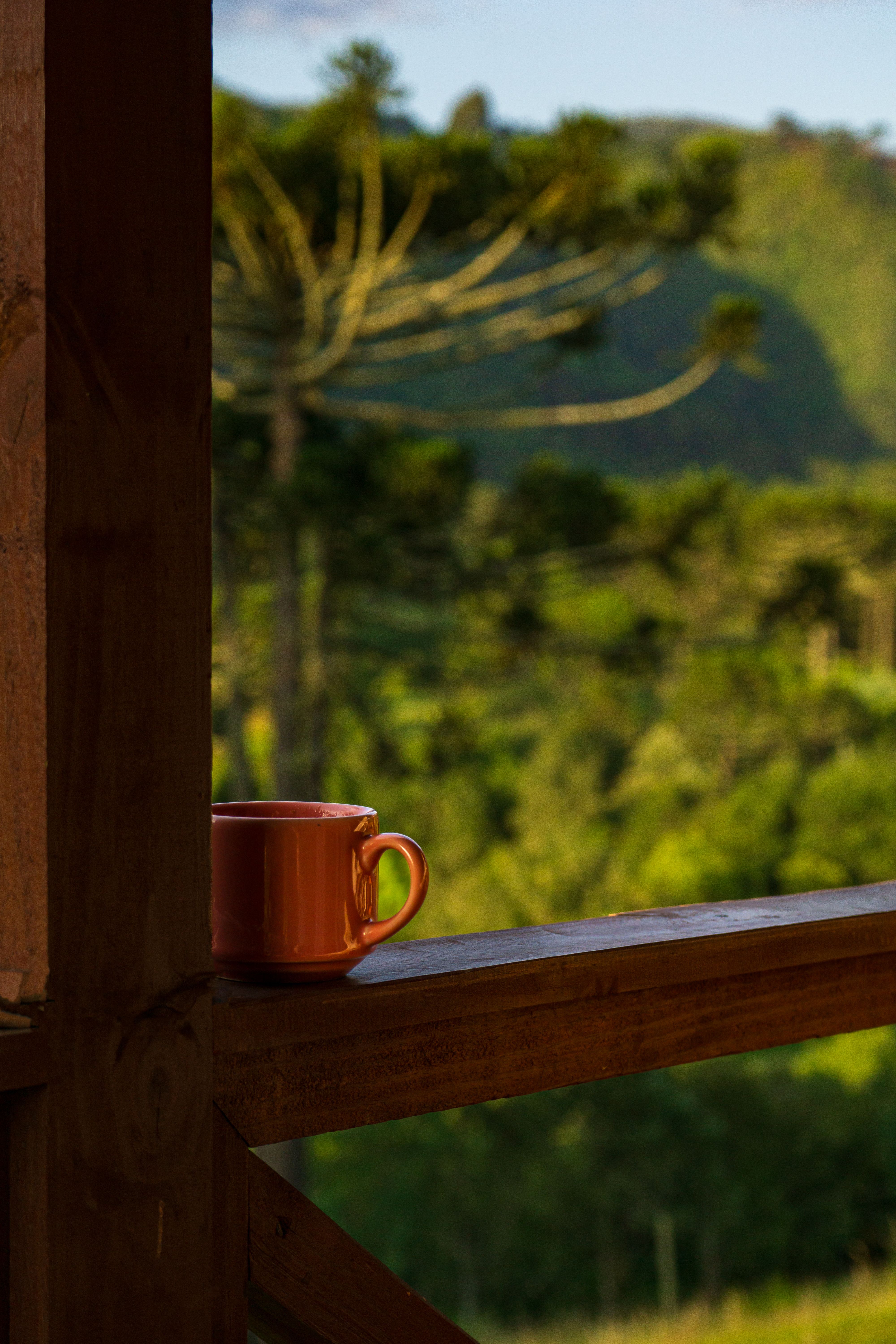 Coffee Landscape Photos, Download The BEST Free Coffee Landscape Stock ...
