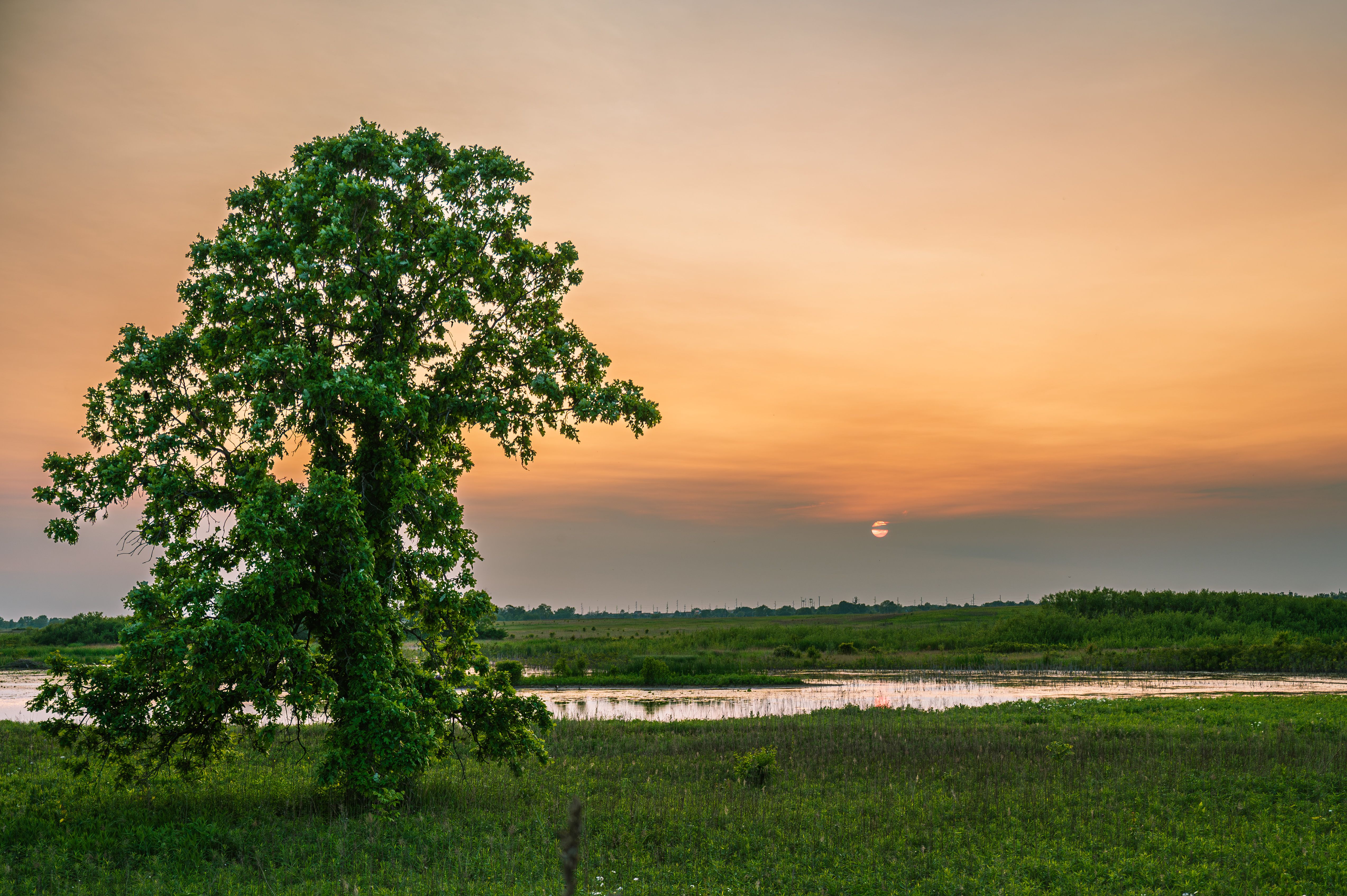 Countryside Dusk Photos, Download The BEST Free Countryside Dusk Stock ...