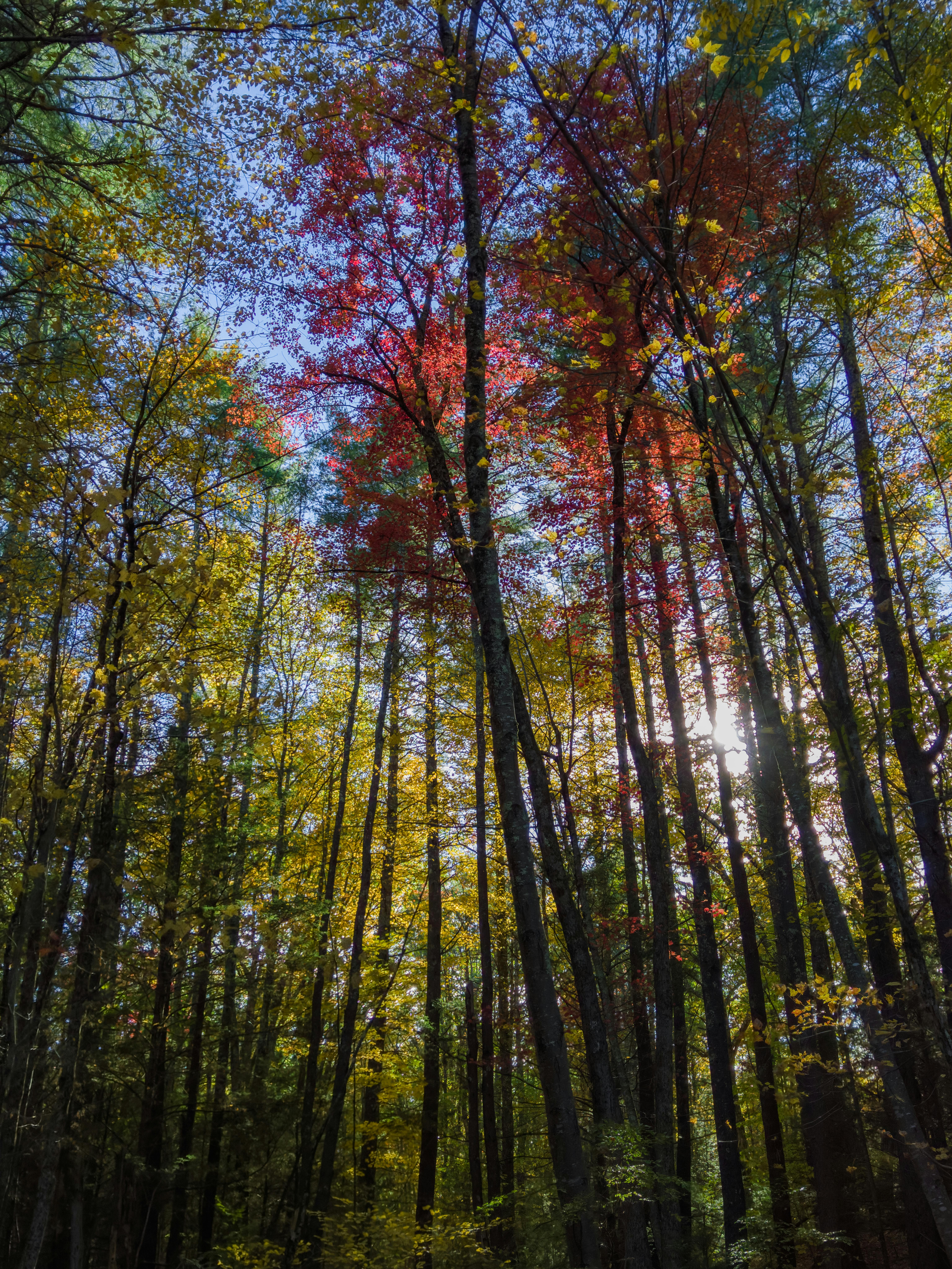 Colorful Landscape Photos, Download The BEST Free Colorful Landscape ...