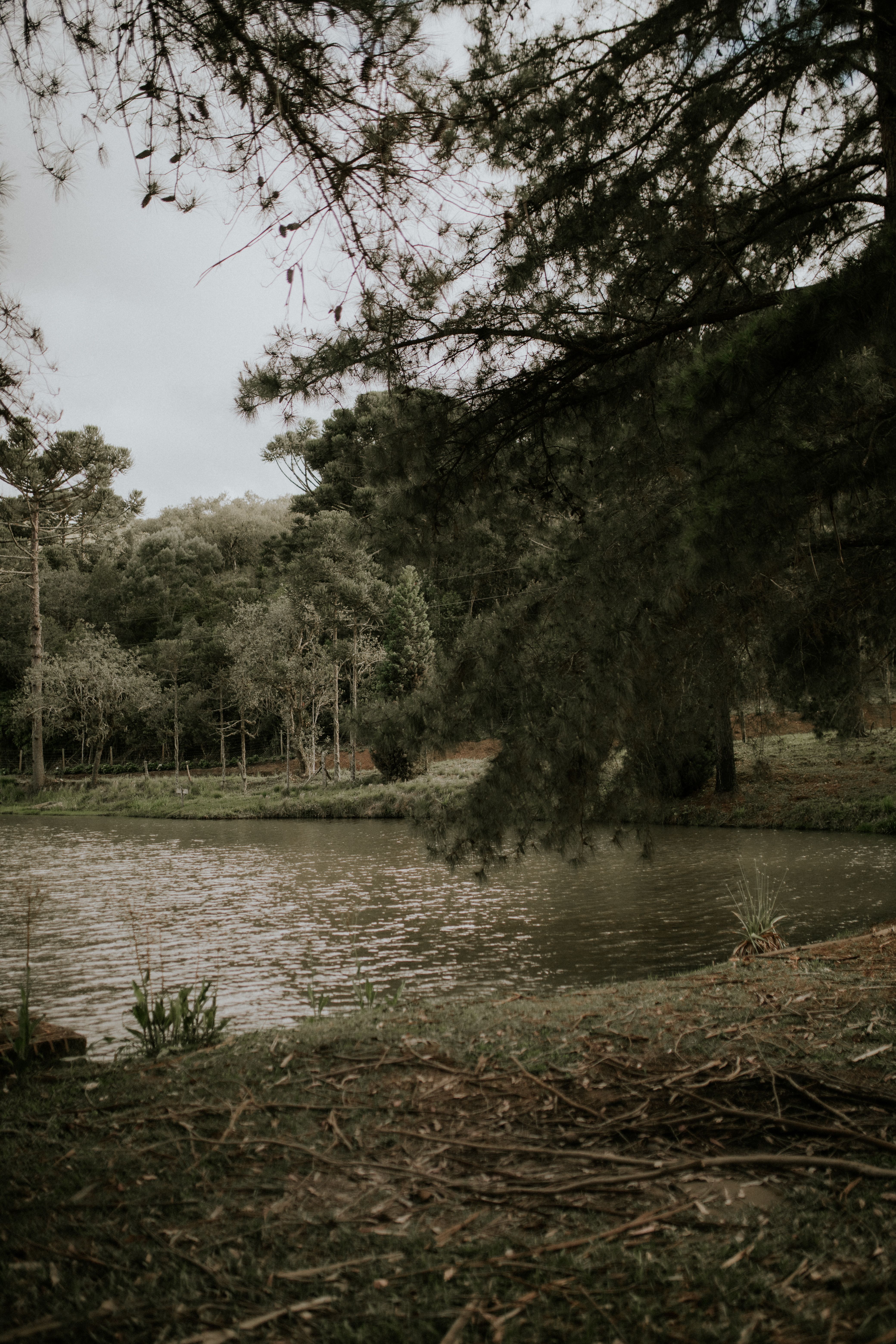Simple Landscapes Photos, Download The BEST Free Simple Landscapes ...