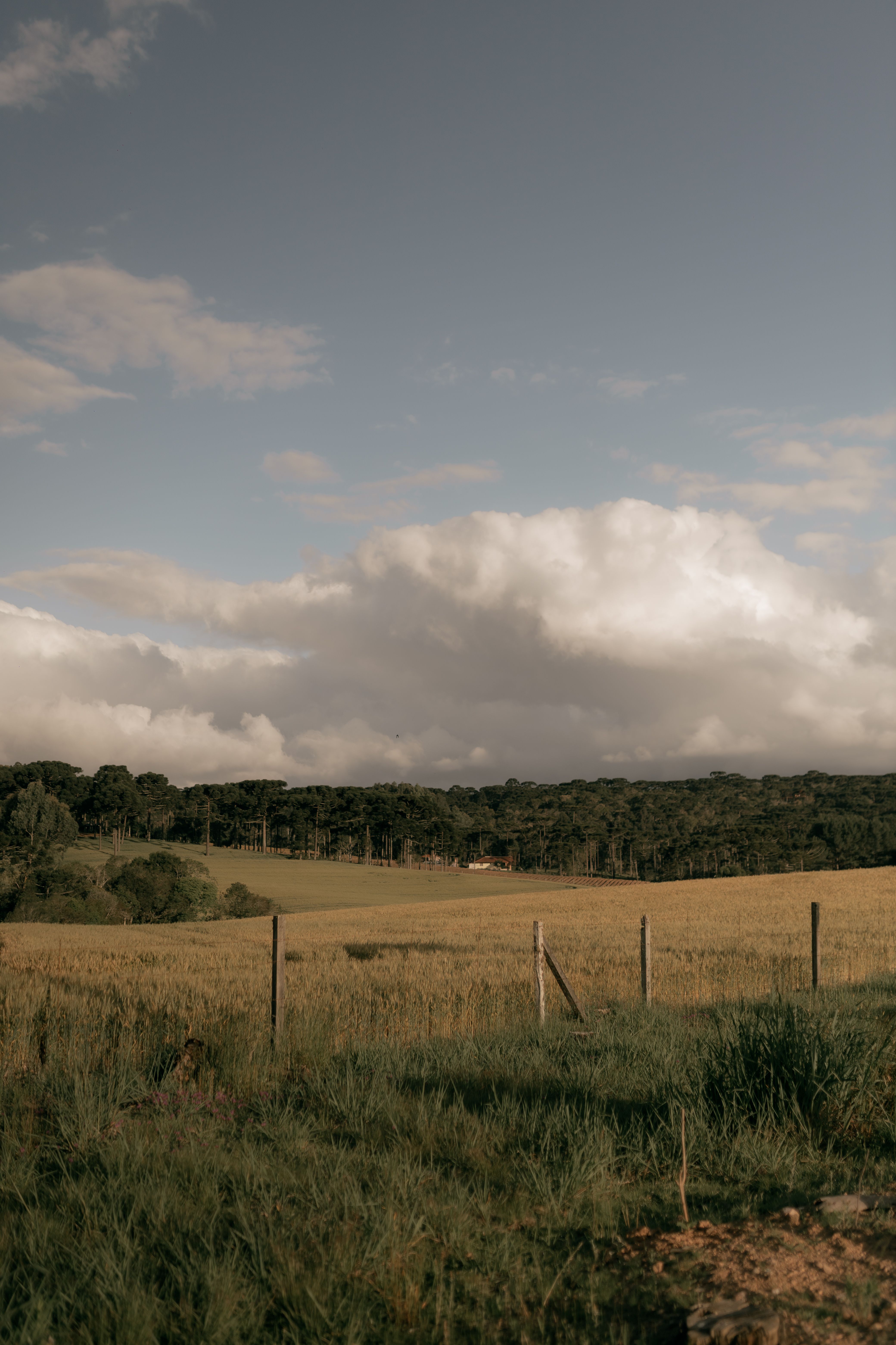 Serene Countryside Landscape at Dusk · Free Stock Photo