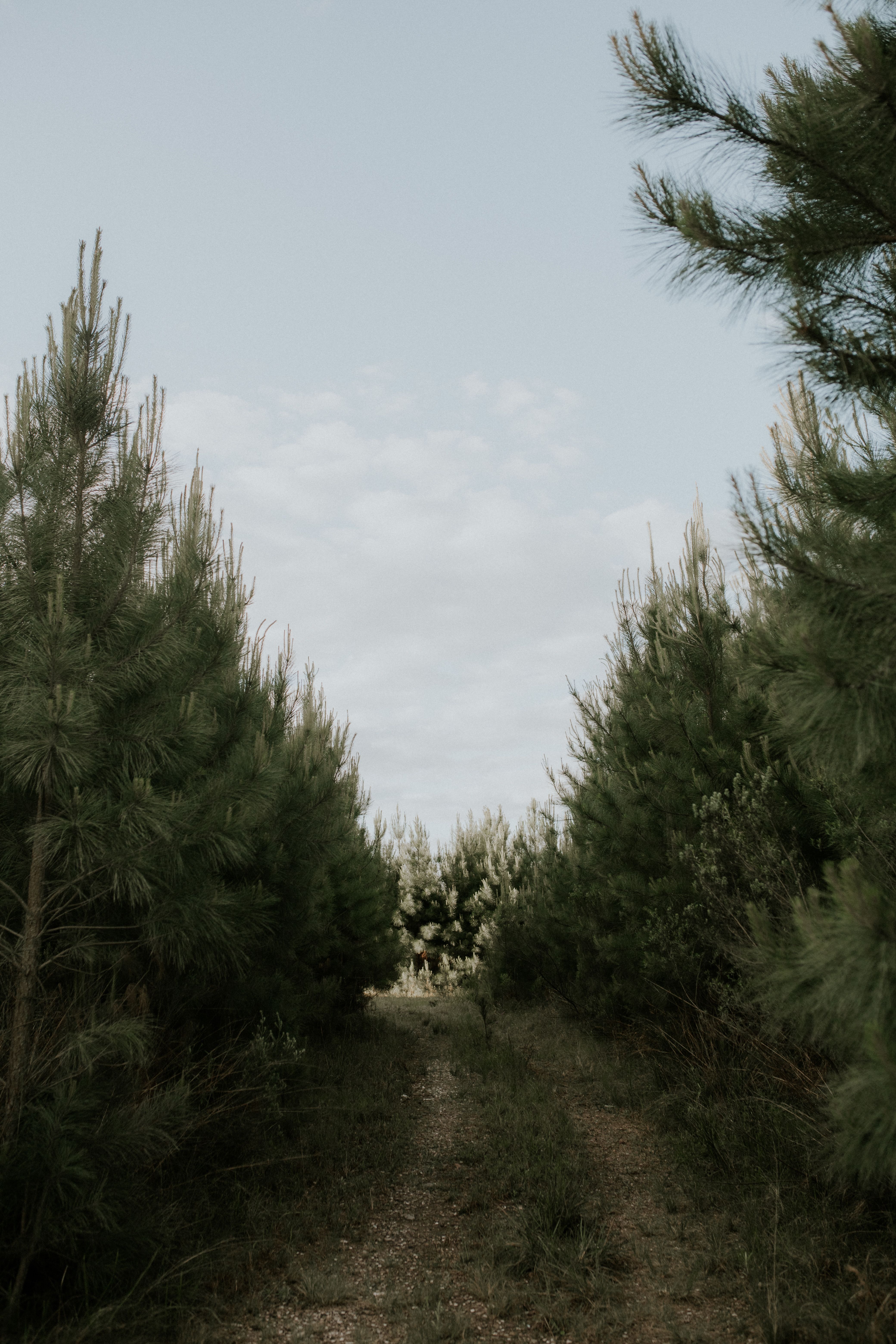 Simple Landscapes Photos, Download The BEST Free Simple Landscapes ...