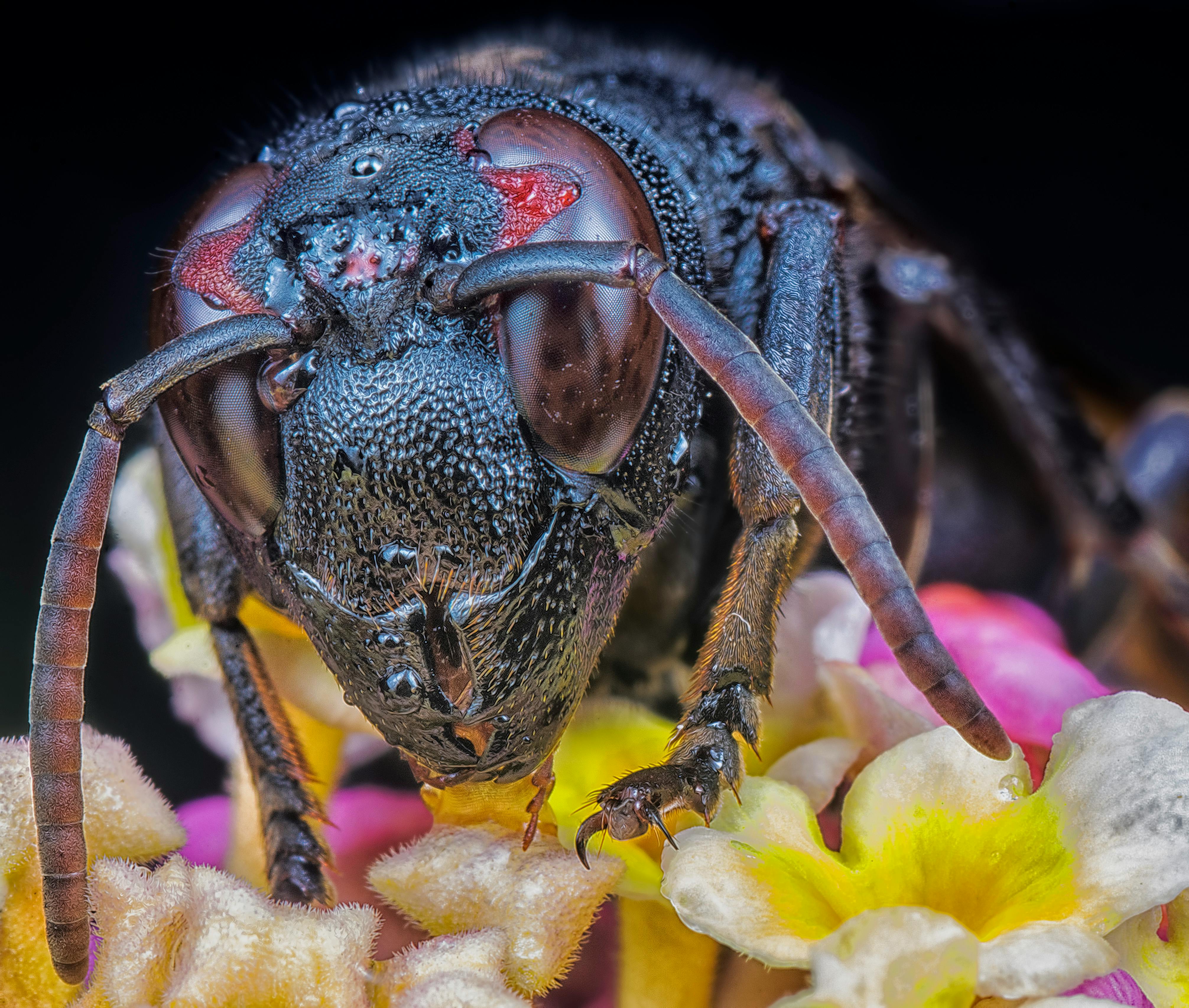 Big Buttocks Photos, Download The BEST Free Big Buttocks Stock Photos ...