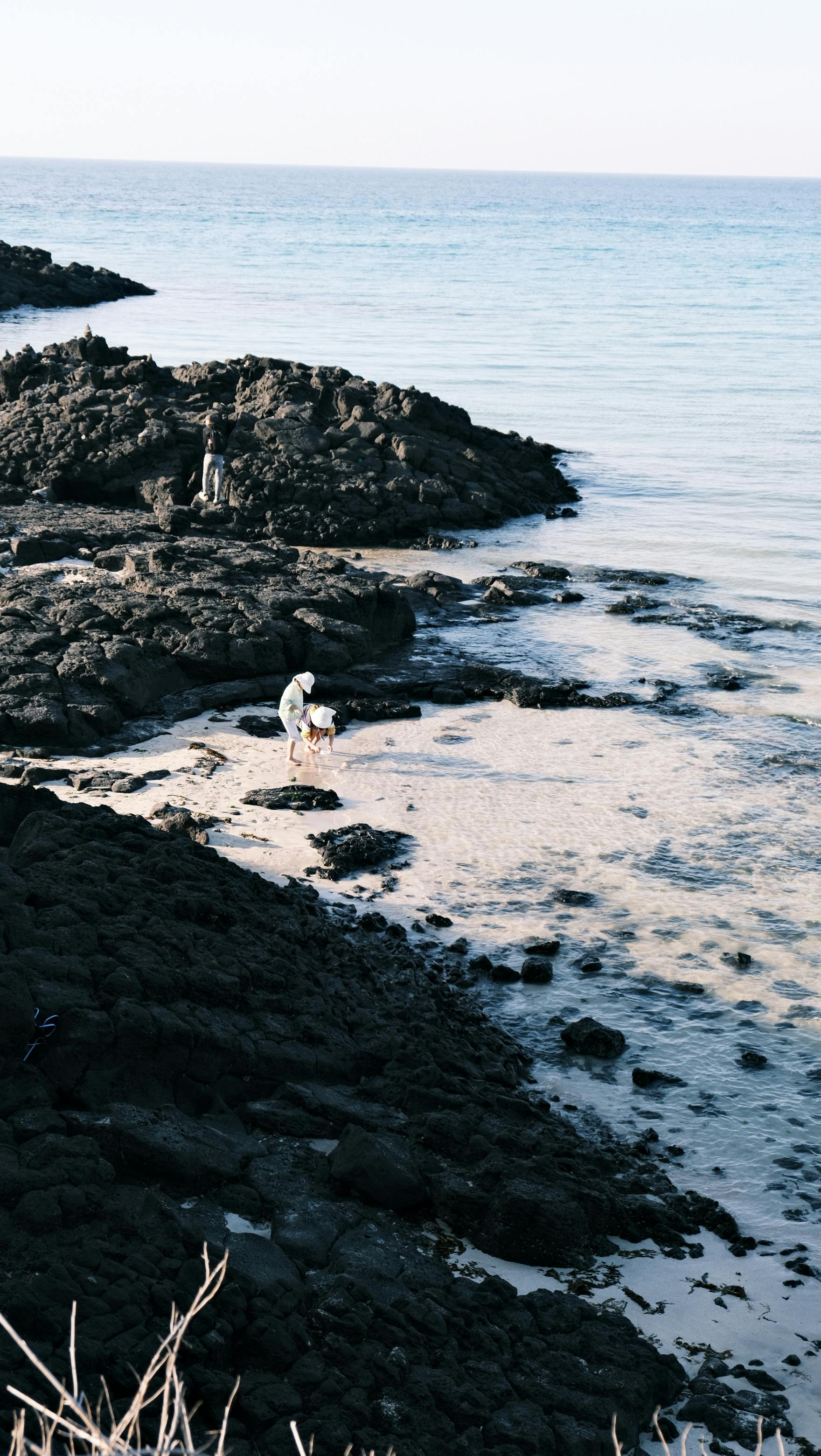 Vip4k+Si Photos, Download The BEST Free Vip4k+Si Stock Photos & HD Images