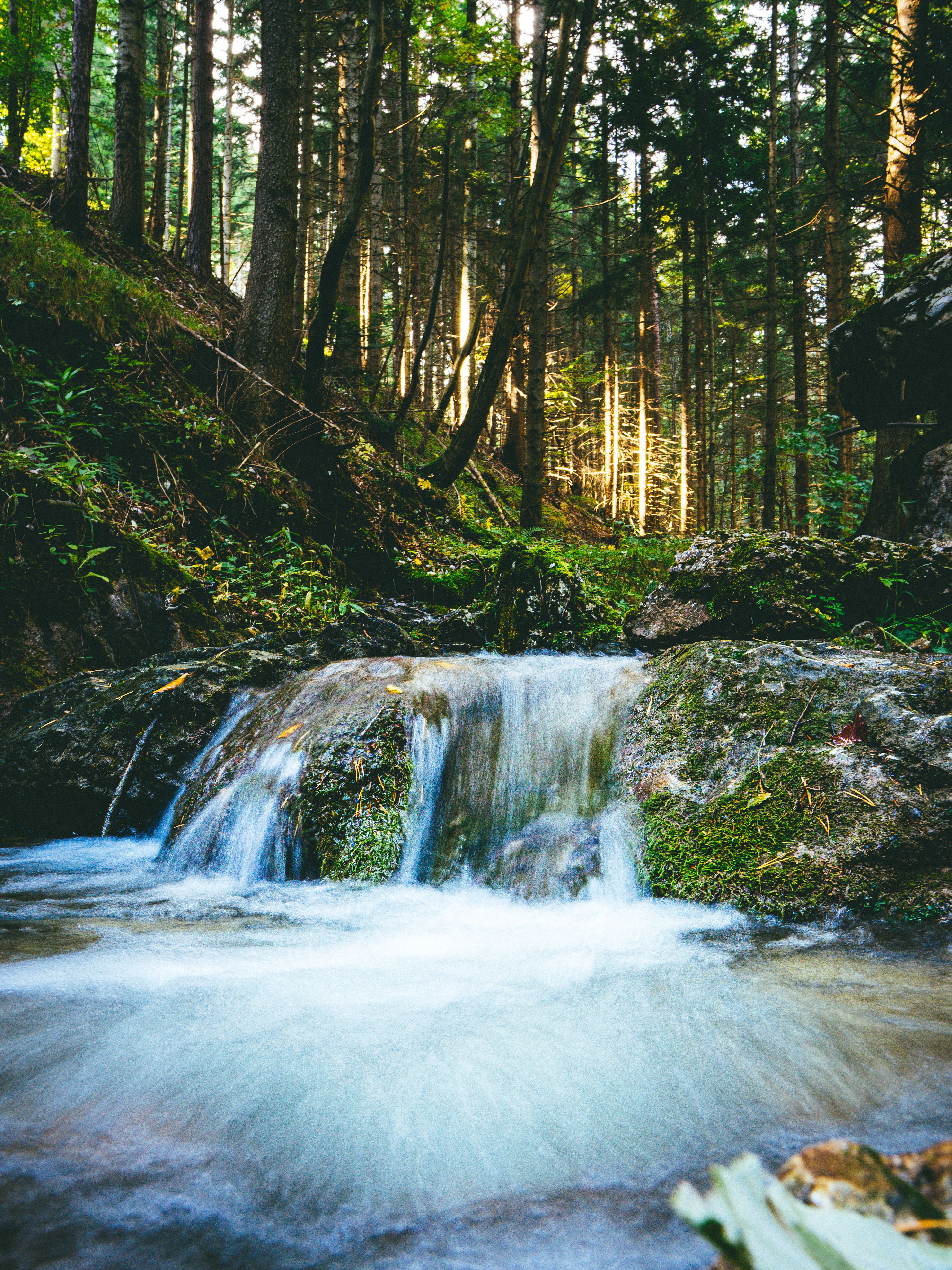 Water Clean Photos, Download The BEST Free Water Clean Stock Photos ...