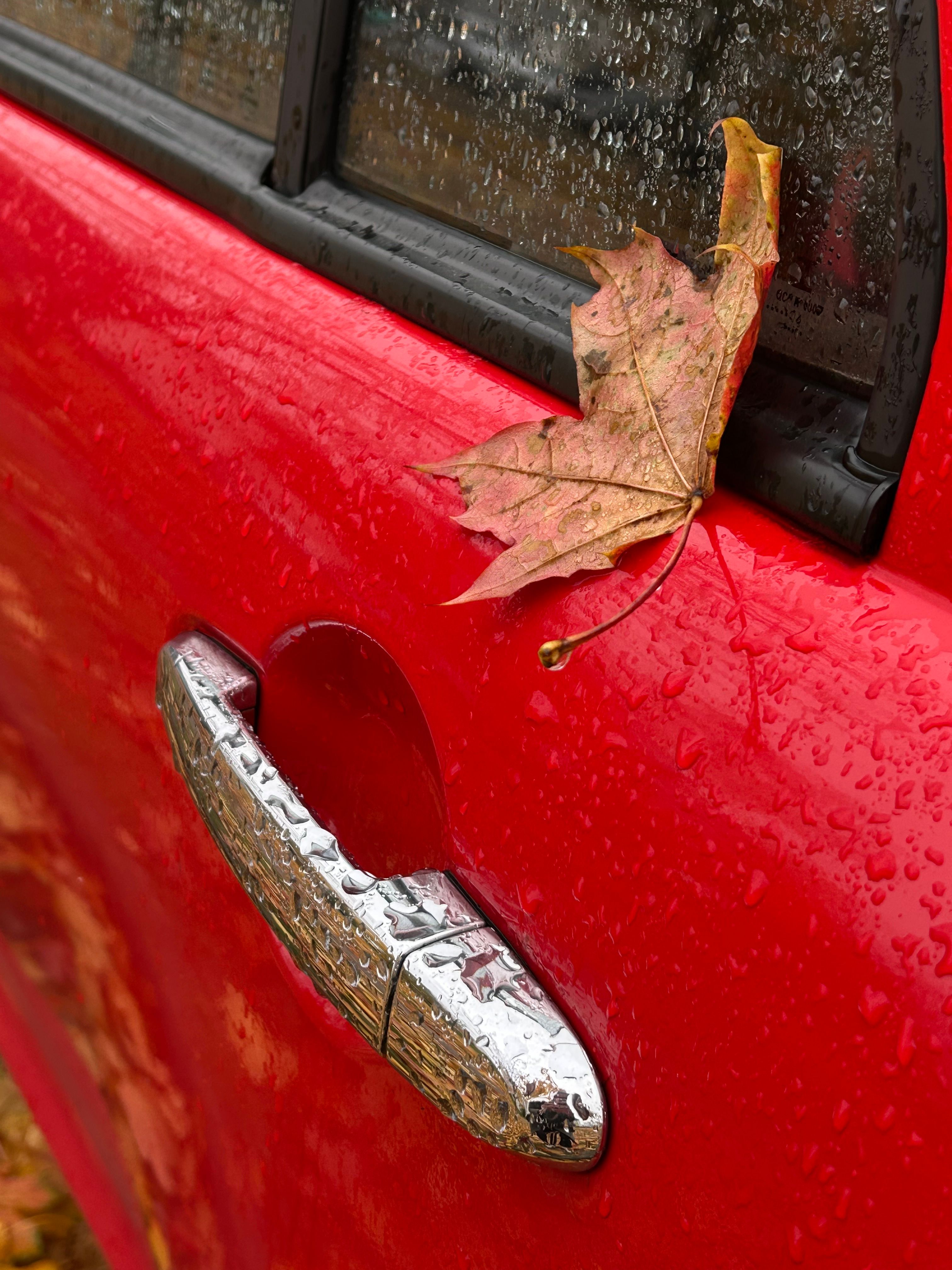 Heavy Rain Photos, Download The BEST Free Heavy Rain Stock Photos & HD ...