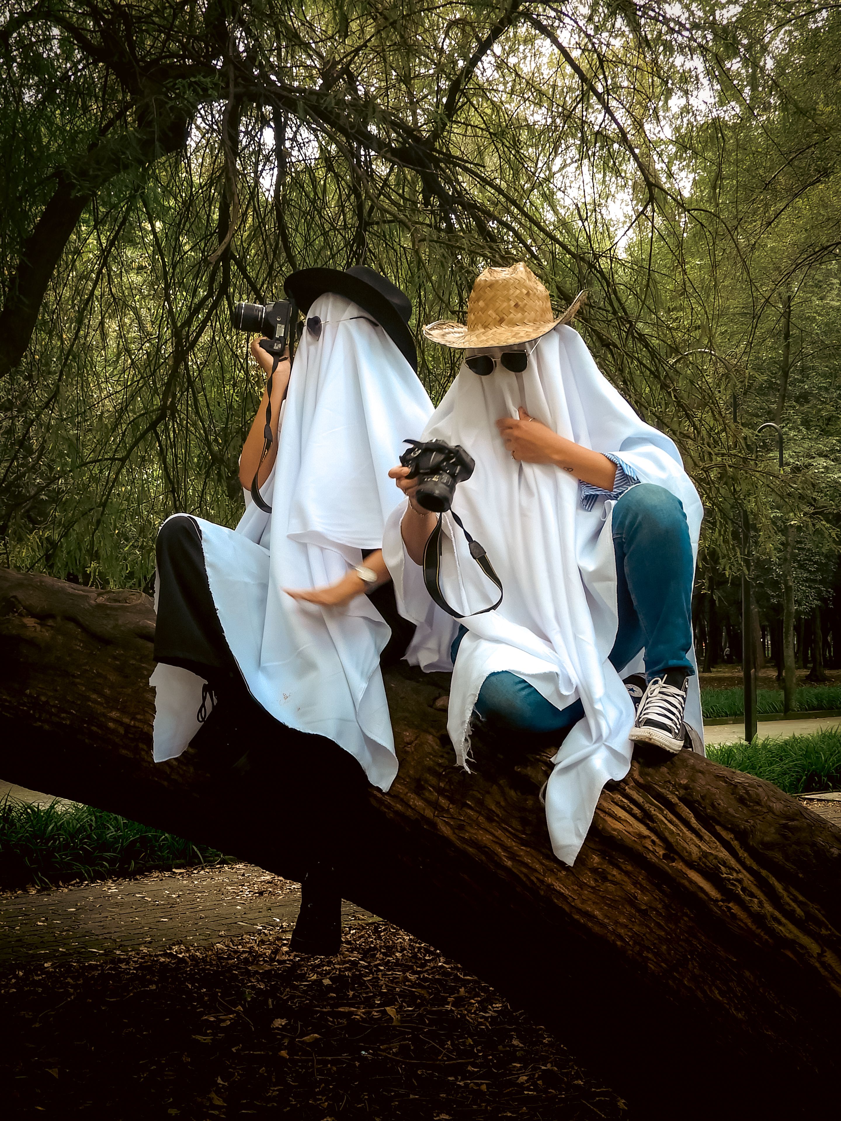 Phantom Photos, Download The BEST Free Phantom Stock Photos & HD Images