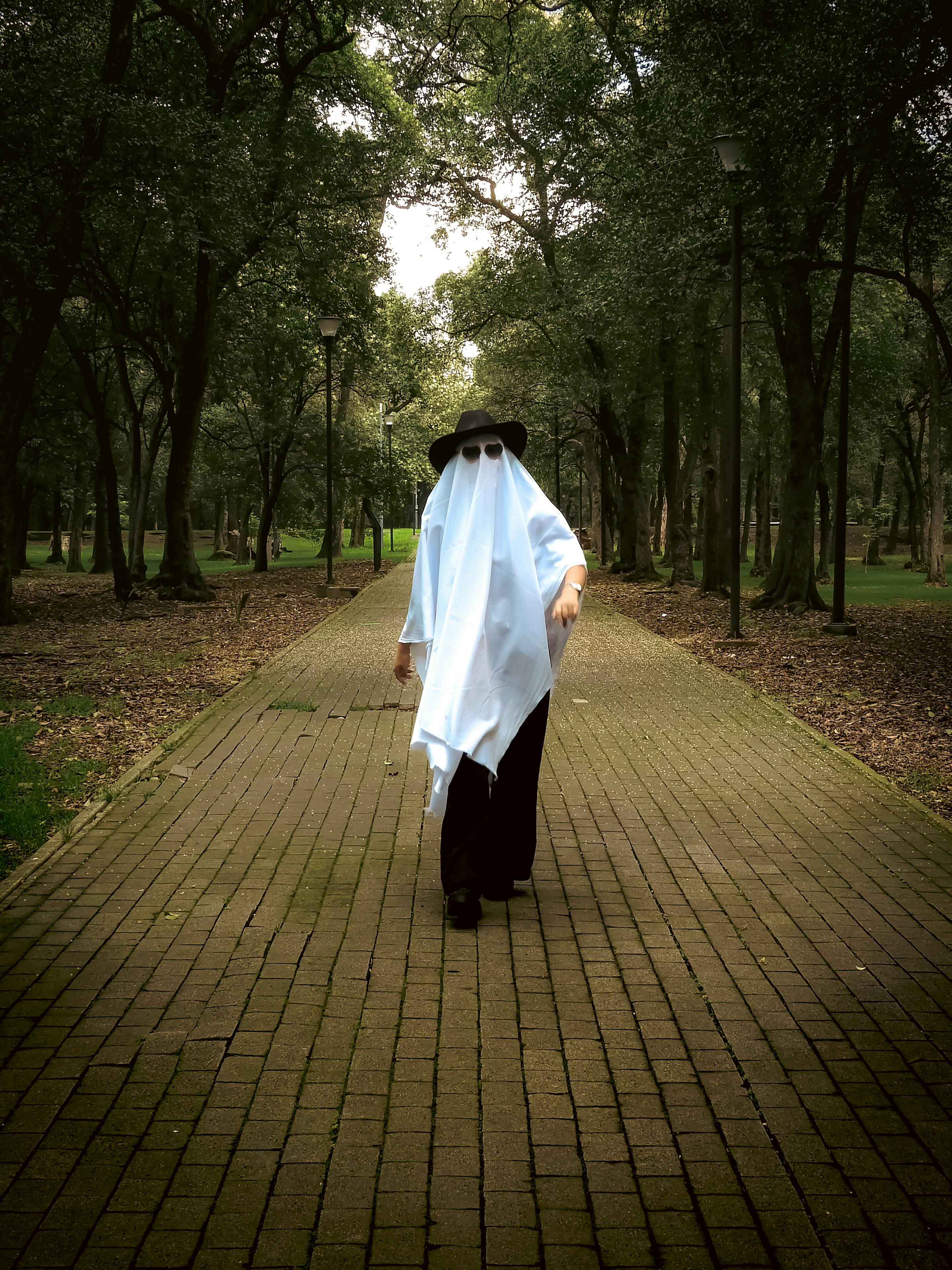 Boo Photos, Download The BEST Free Boo Stock Photos & HD Images