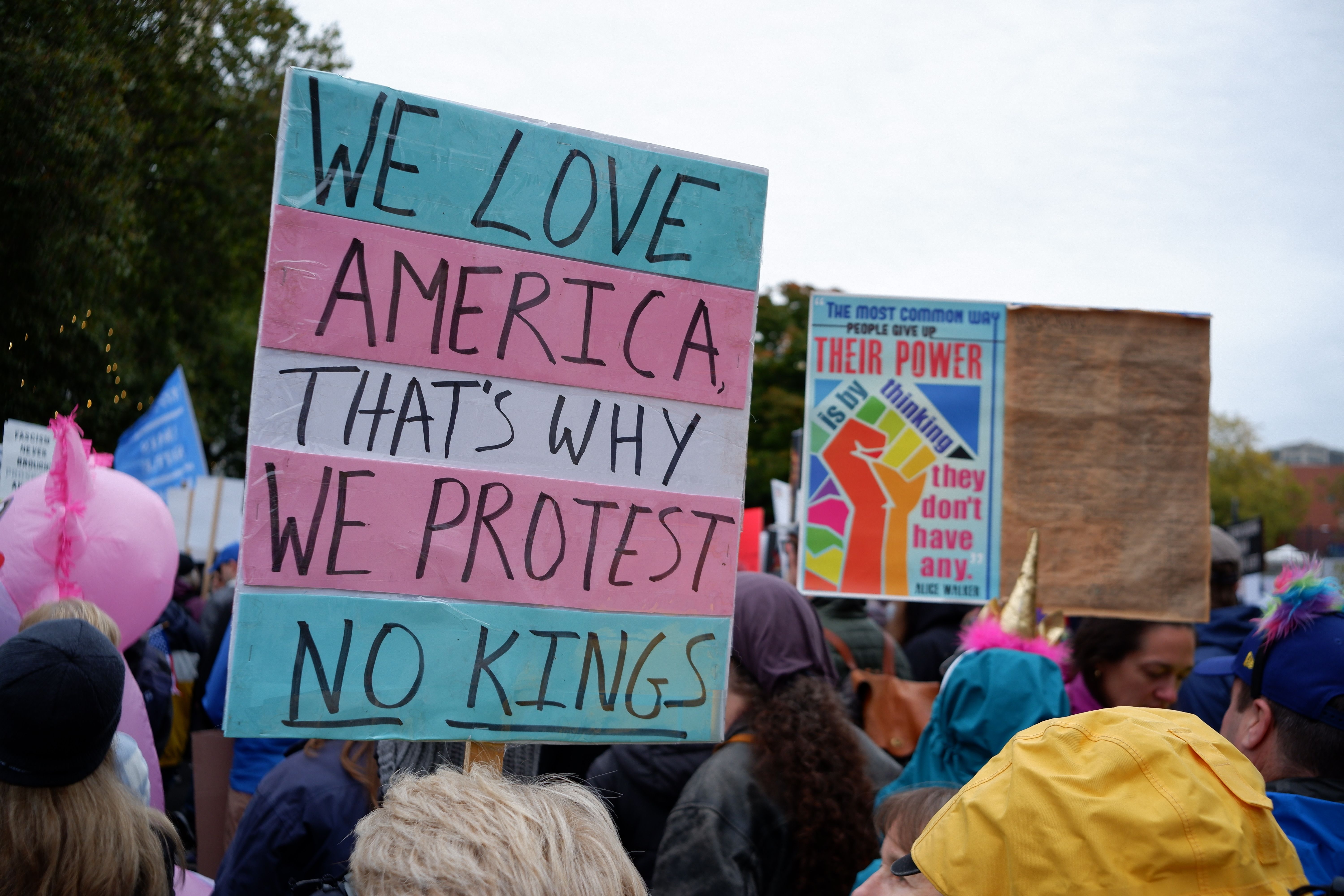 Crowd Protesting with Colorful Signs for Democracy · Free Stock Photo