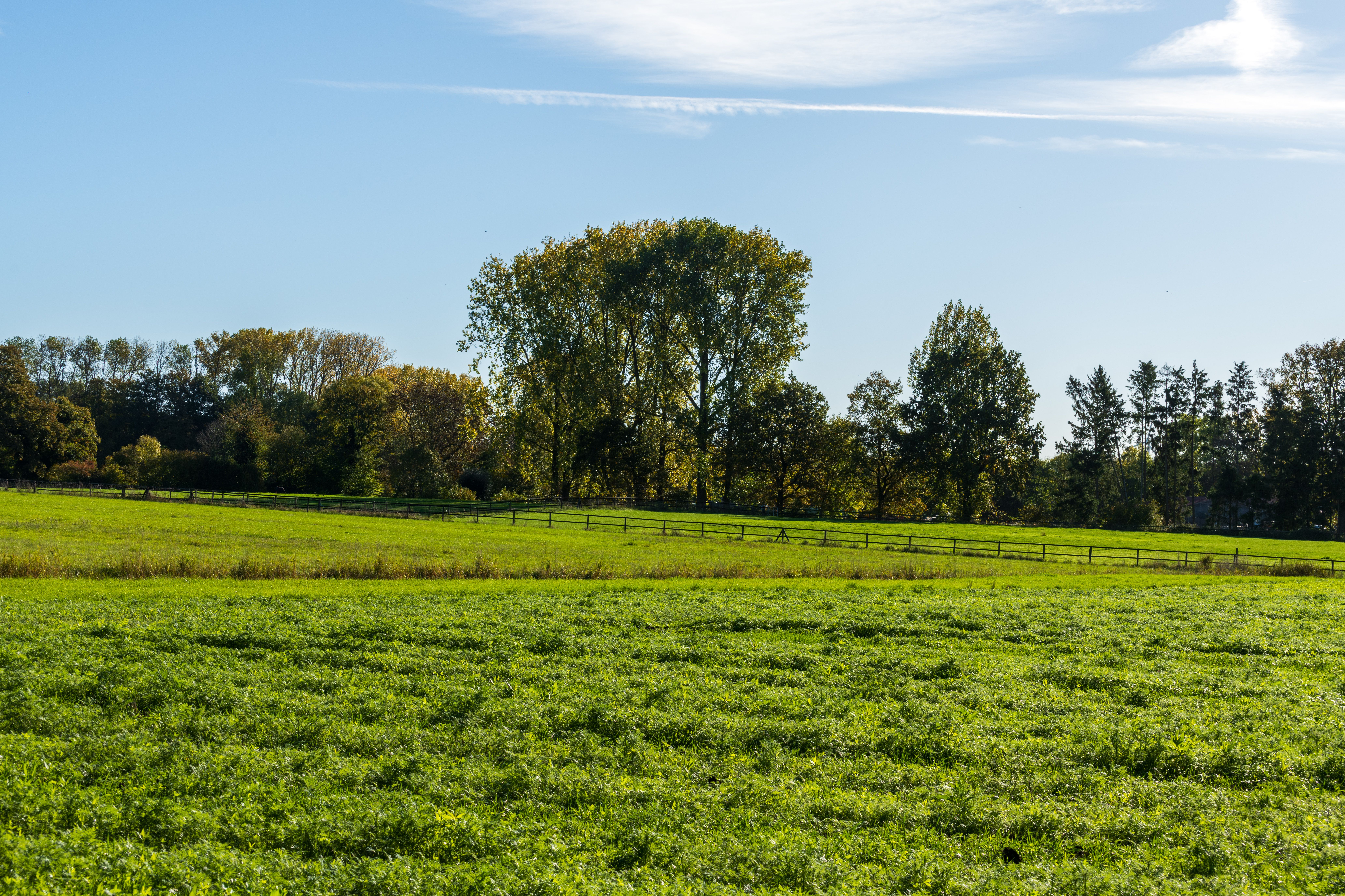 Horizontal Landscape Photos, Download The BEST Free Horizontal ...