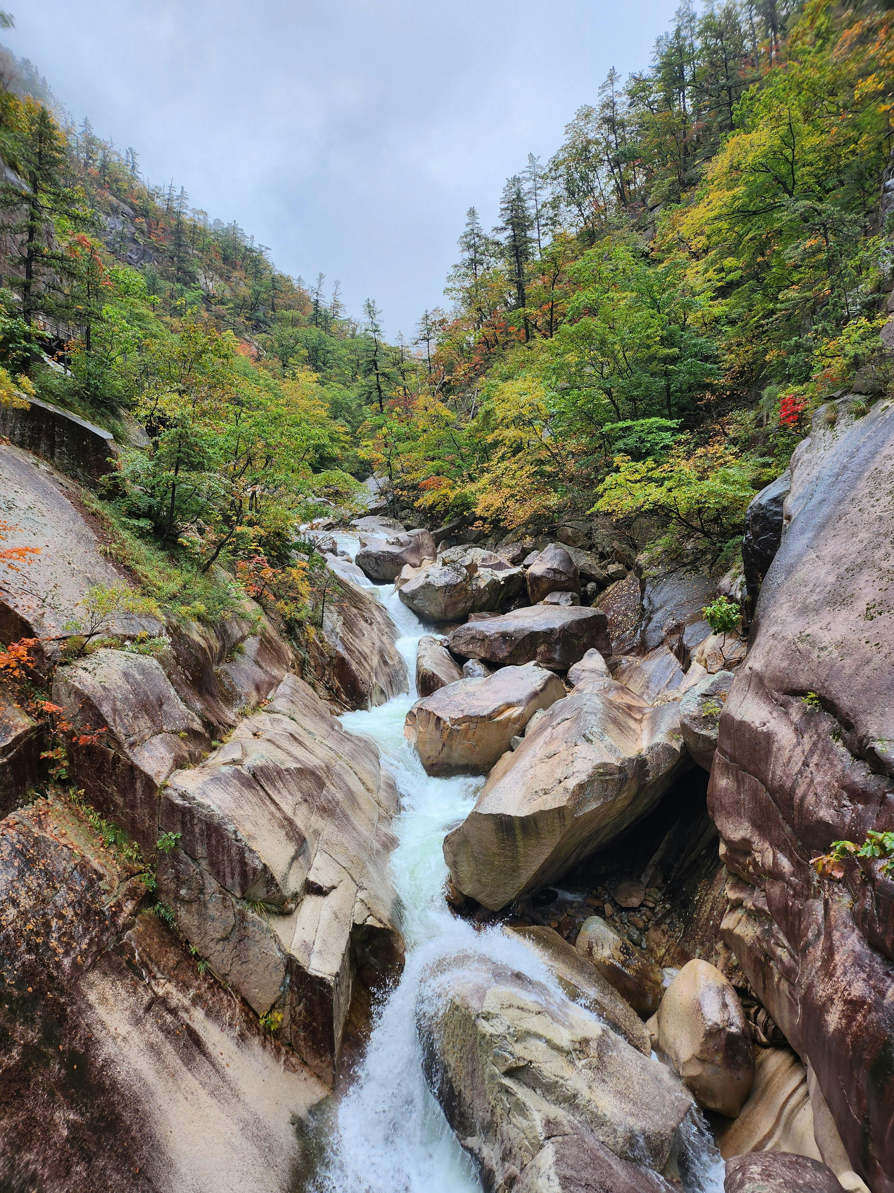 Flowing River Photos, Download The BEST Free Flowing River Stock Photos ...