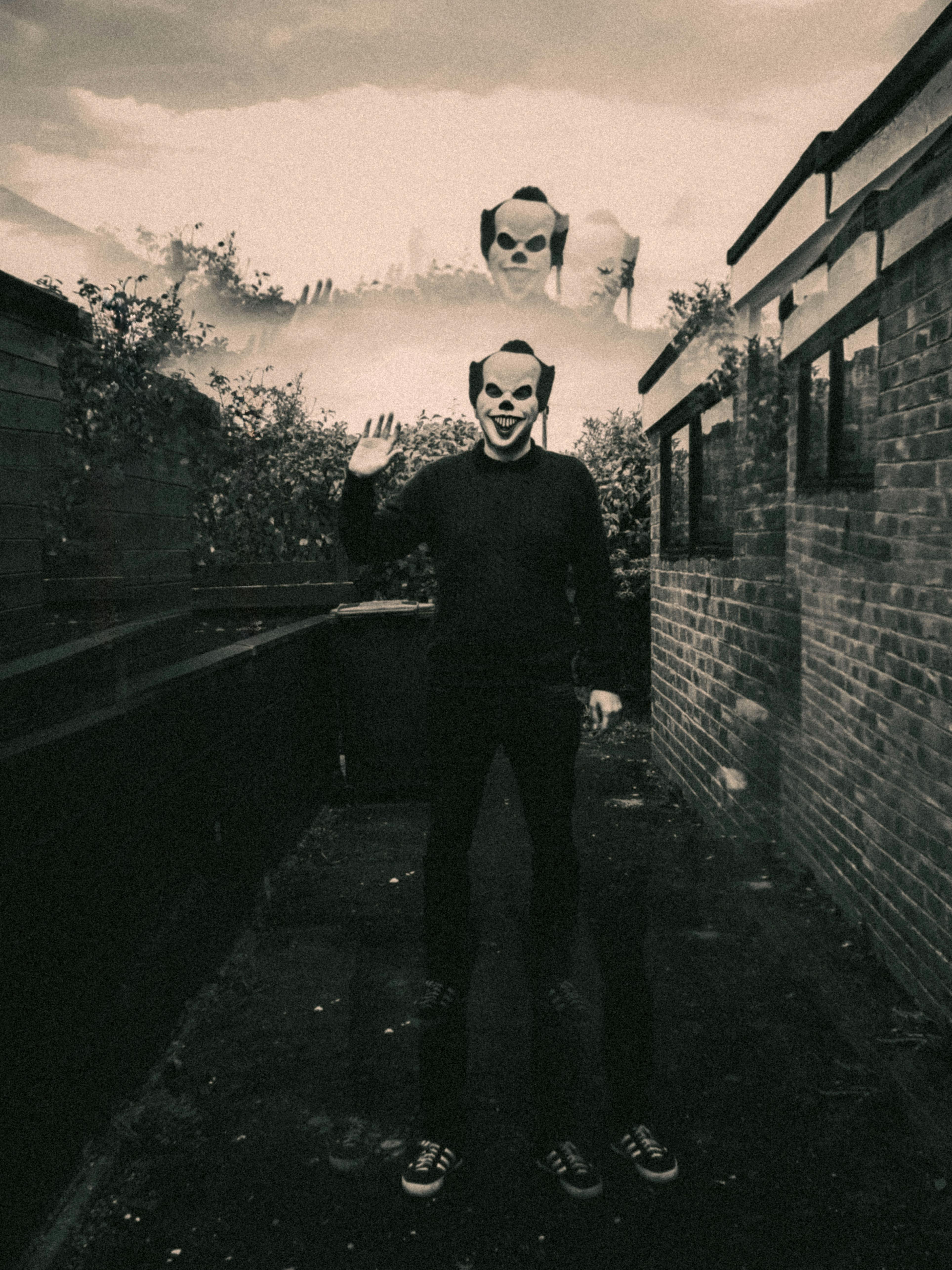 Freaky Photos, Download The BEST Free Freaky Stock Photos & HD Images