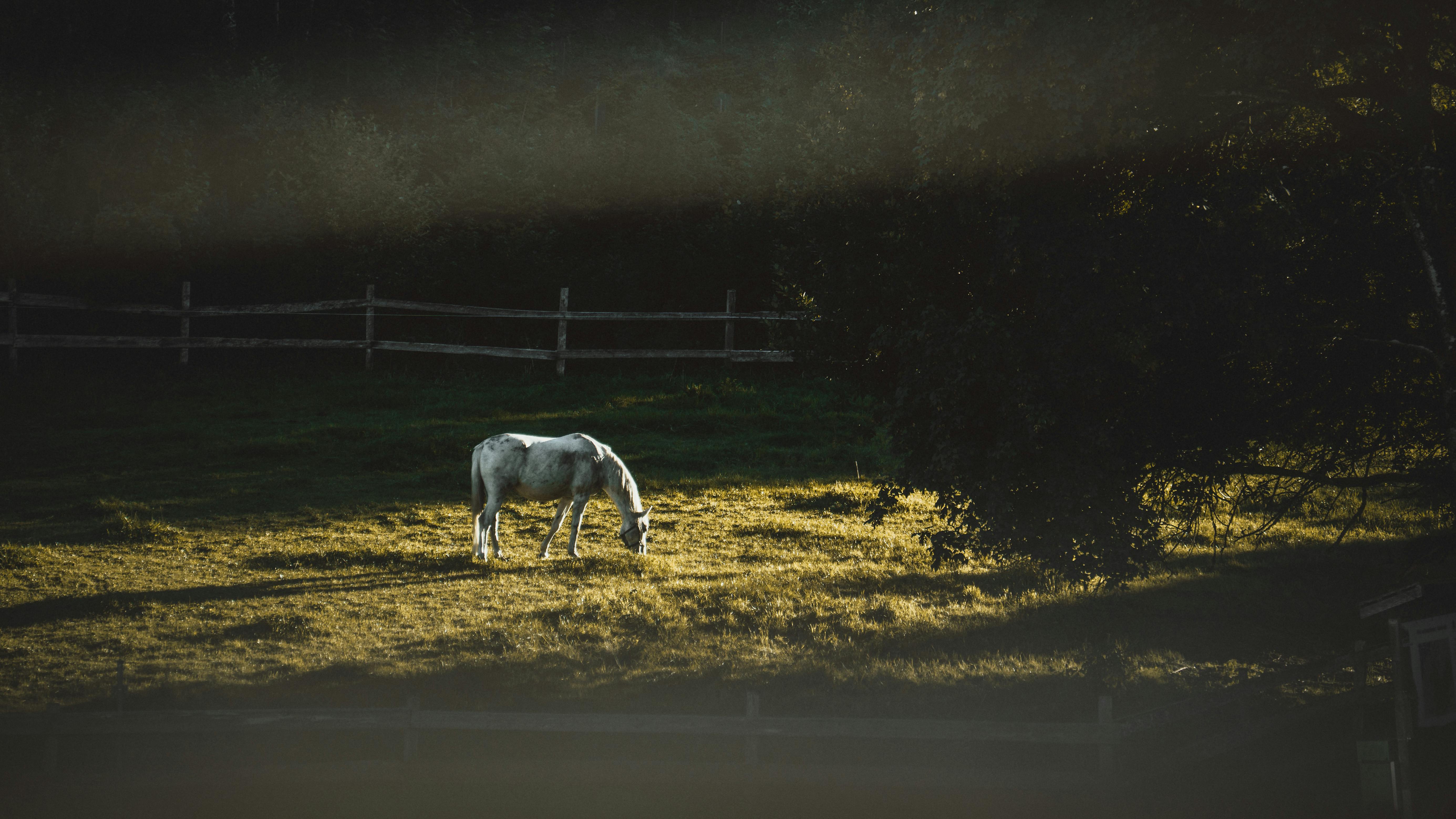 Scream 4k Wallpaper Photos, Download The BEST Free Scream 4k Wallpaper ...