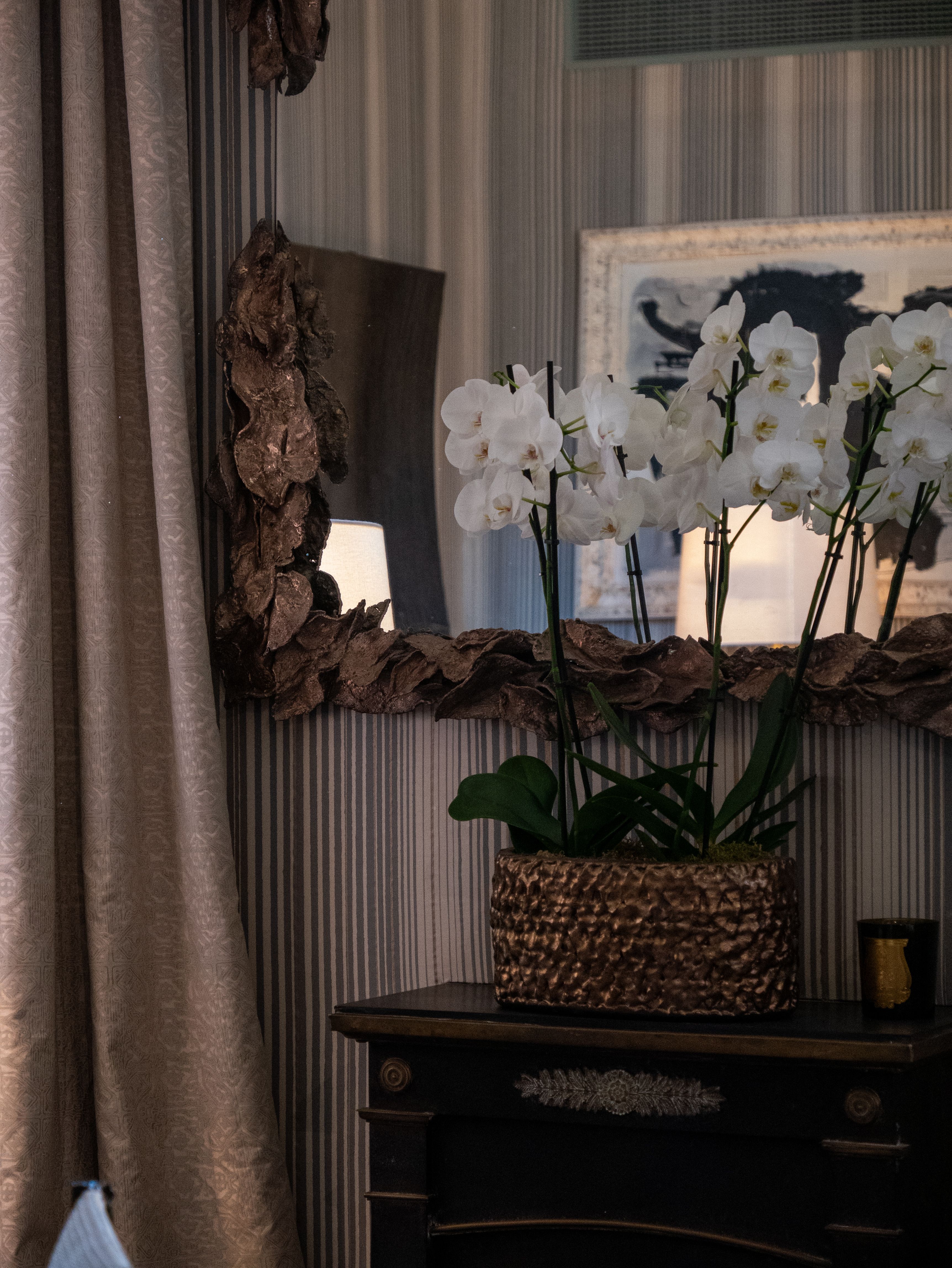 Elegant Interior with White Orchid Display · Free Stock Photo