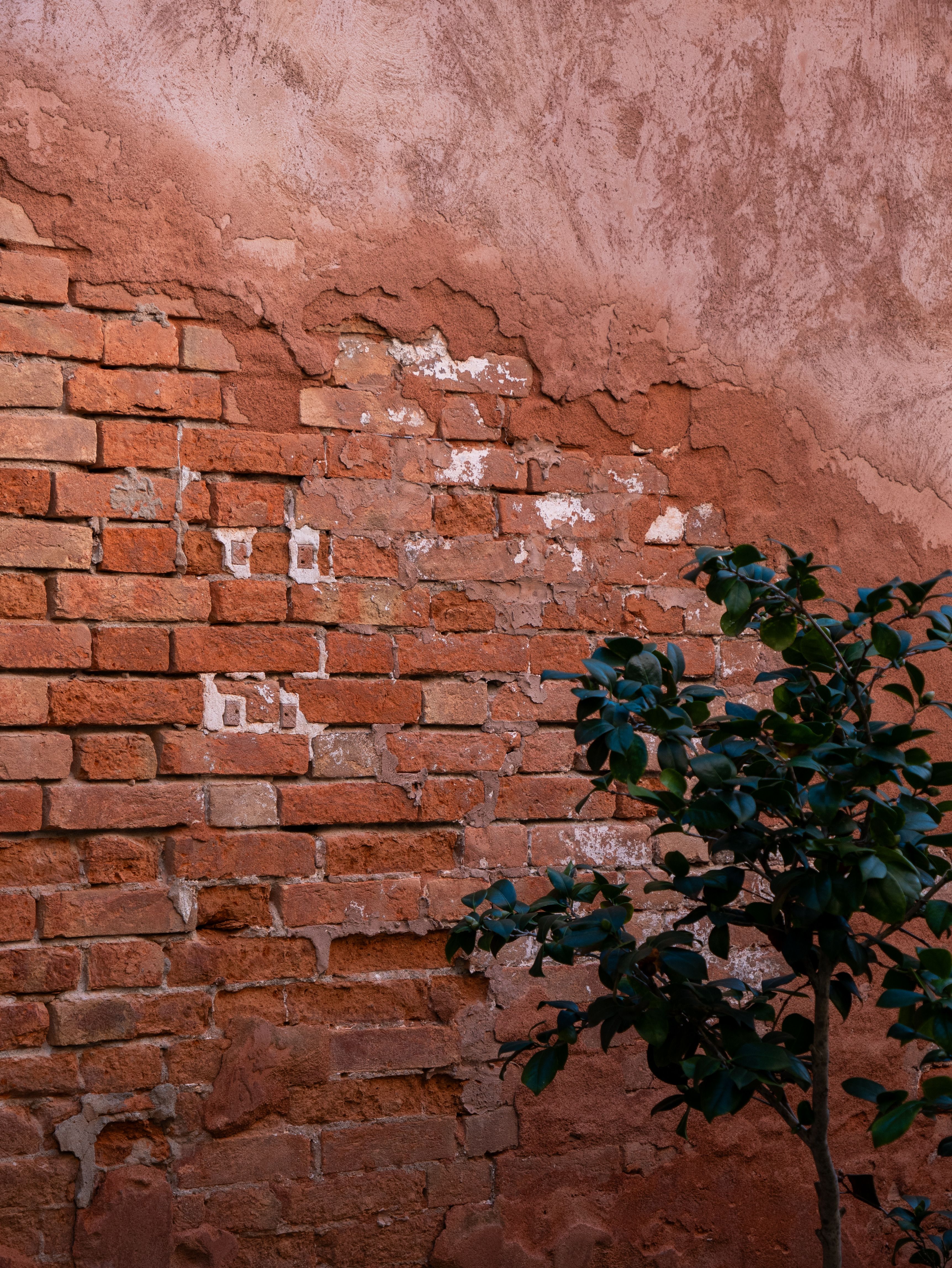 Earthy Background Photos, Download The BEST Free Earthy Background ...
