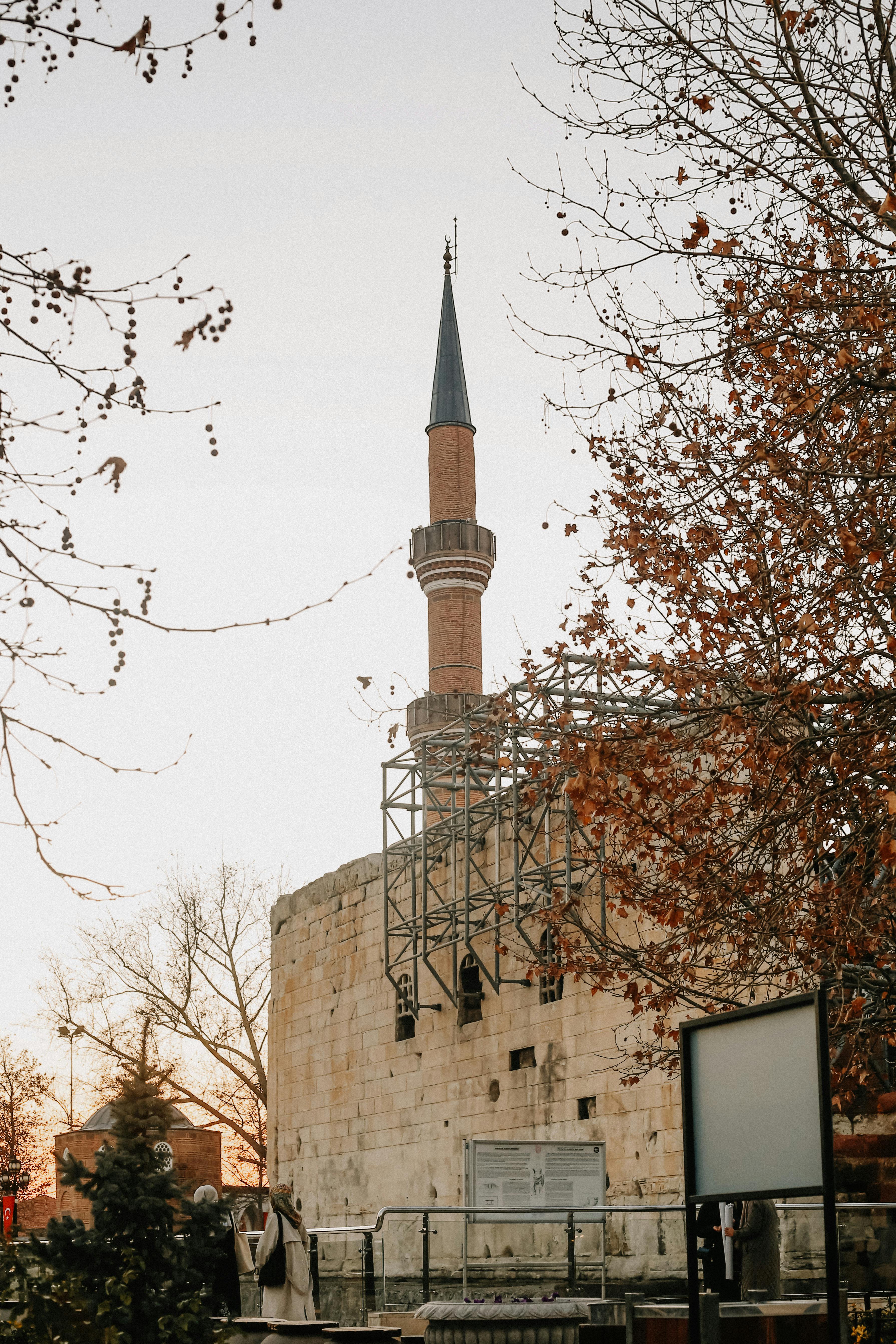 100 000+ Bästa Gammal Gubbe-foton · 100 % gratis nedladdning · Pexels ...