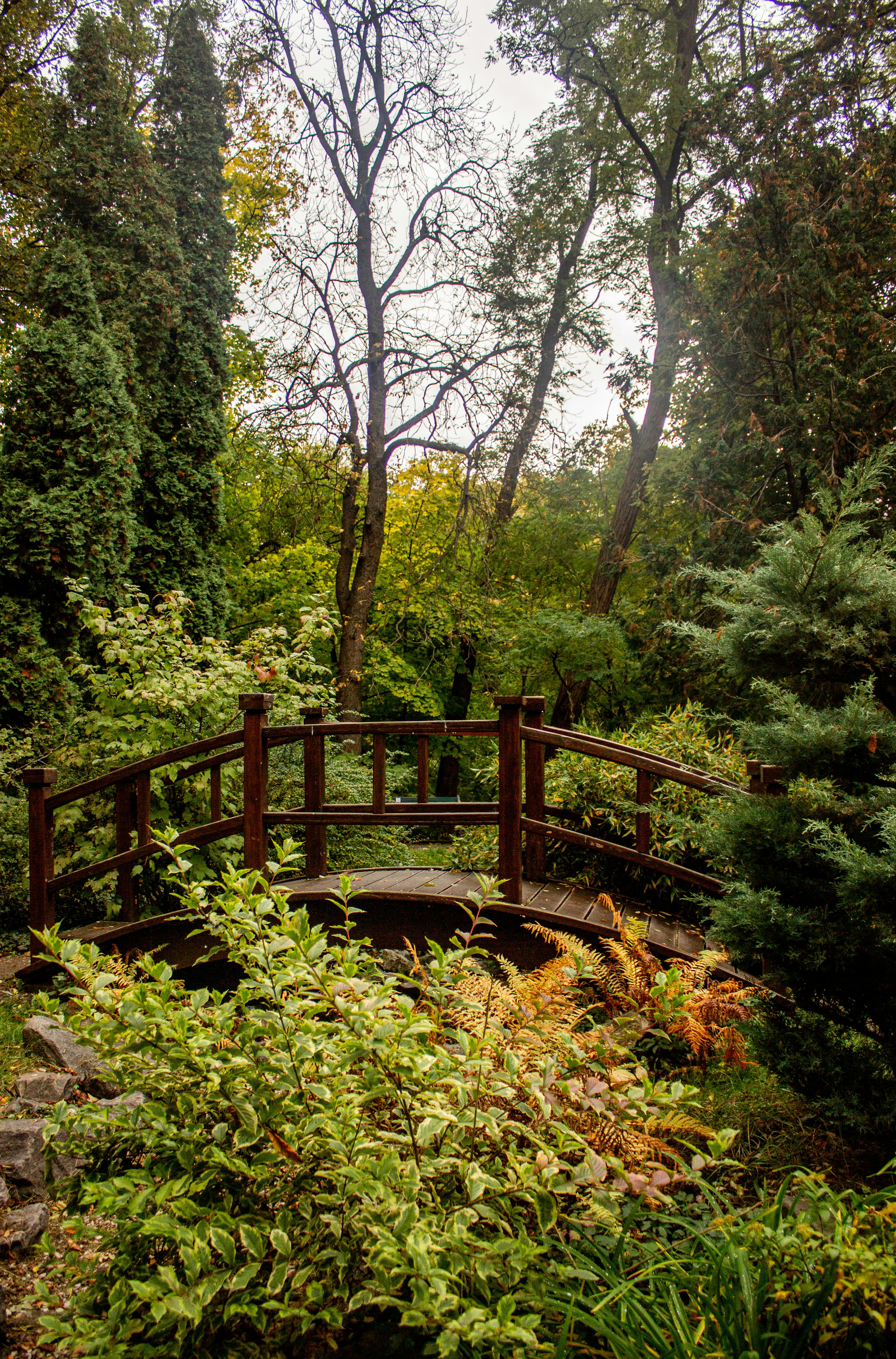 Boho Photos, Download The BEST Free Boho Stock Photos & HD Images