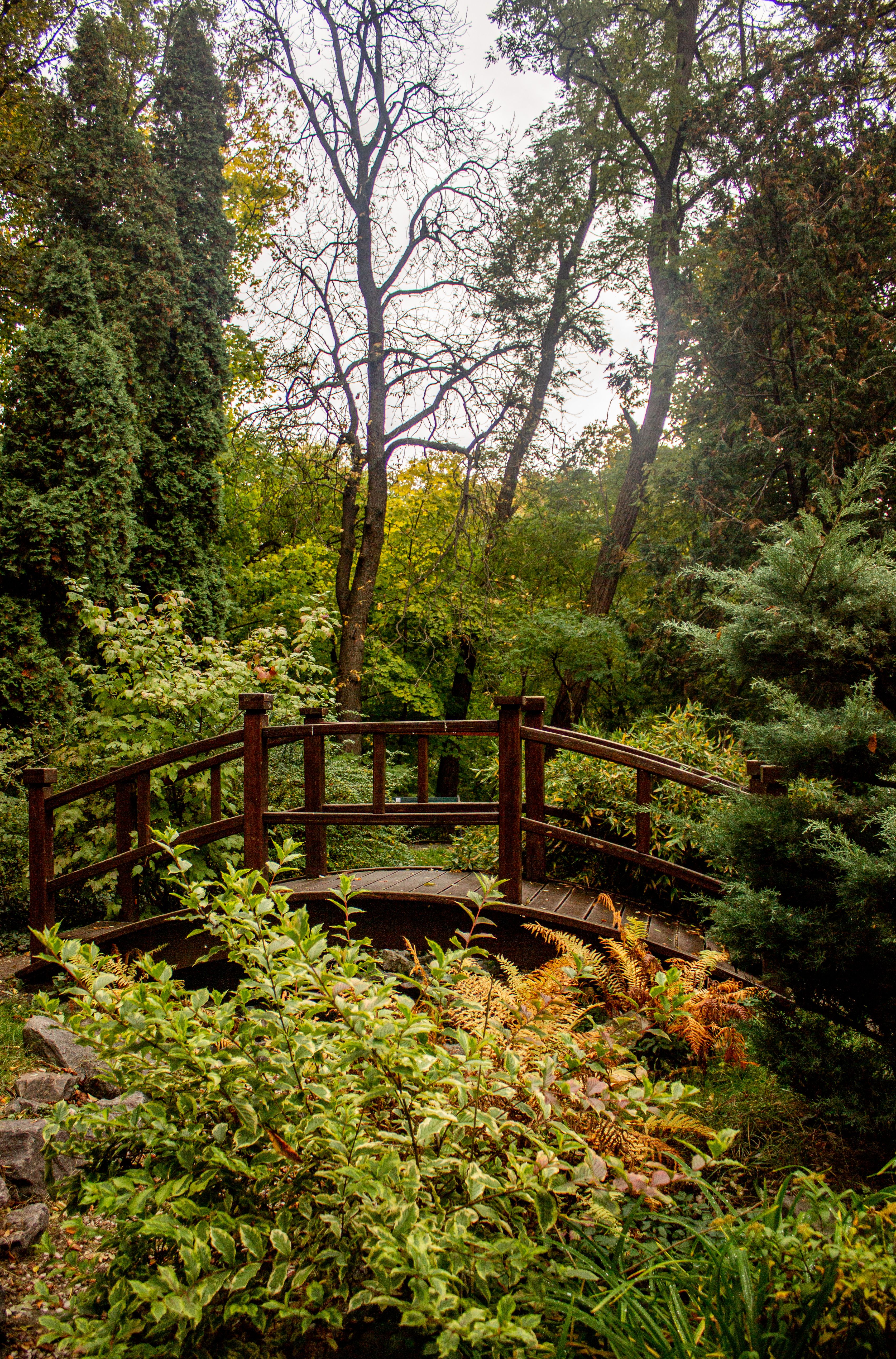 Woodland Bridge Photos, Download The BEST Free Woodland Bridge Stock ...
