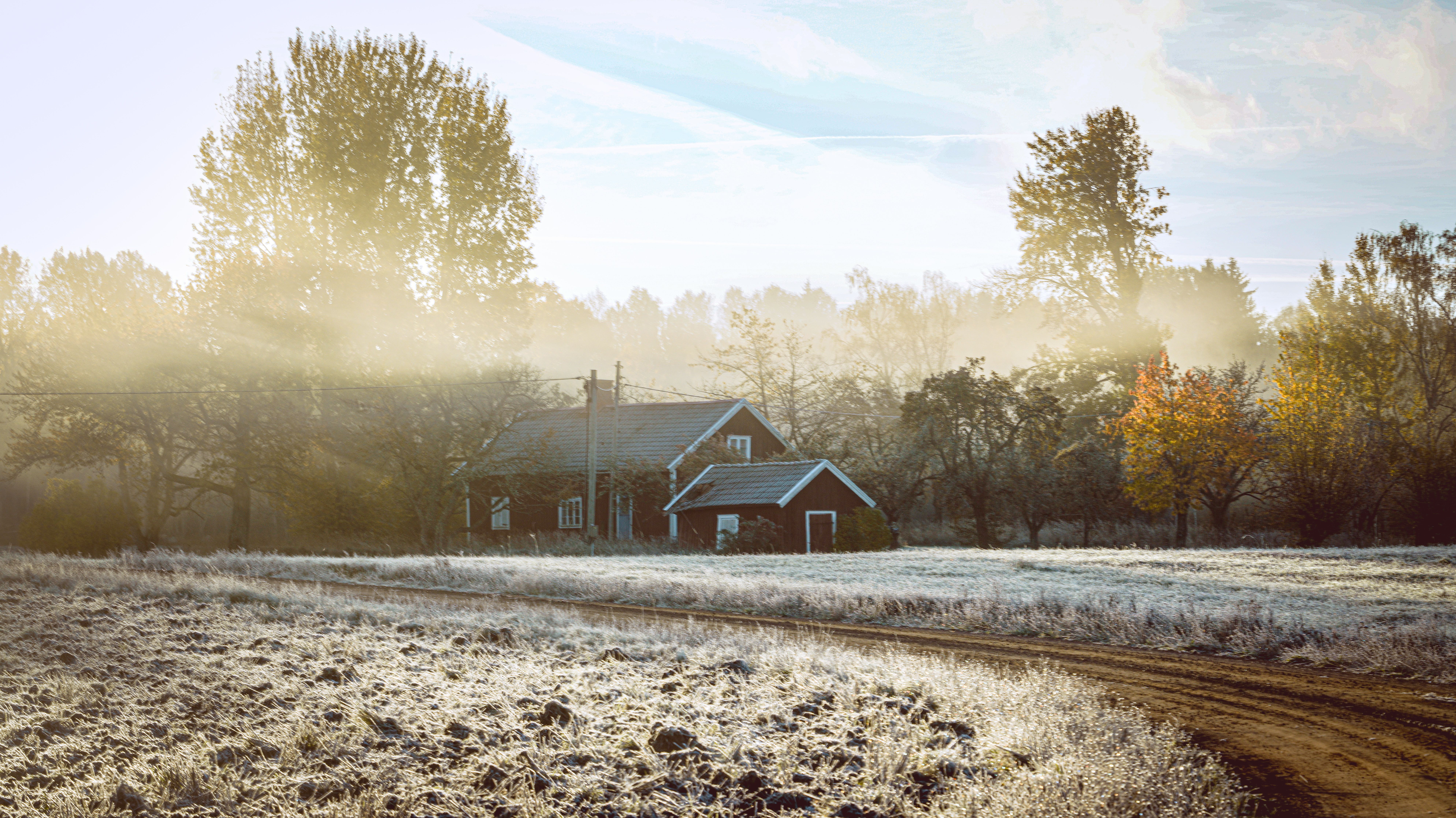 Eromeitter&Form=Hdrsc3&First=1 Photos, Download The BEST Free ...