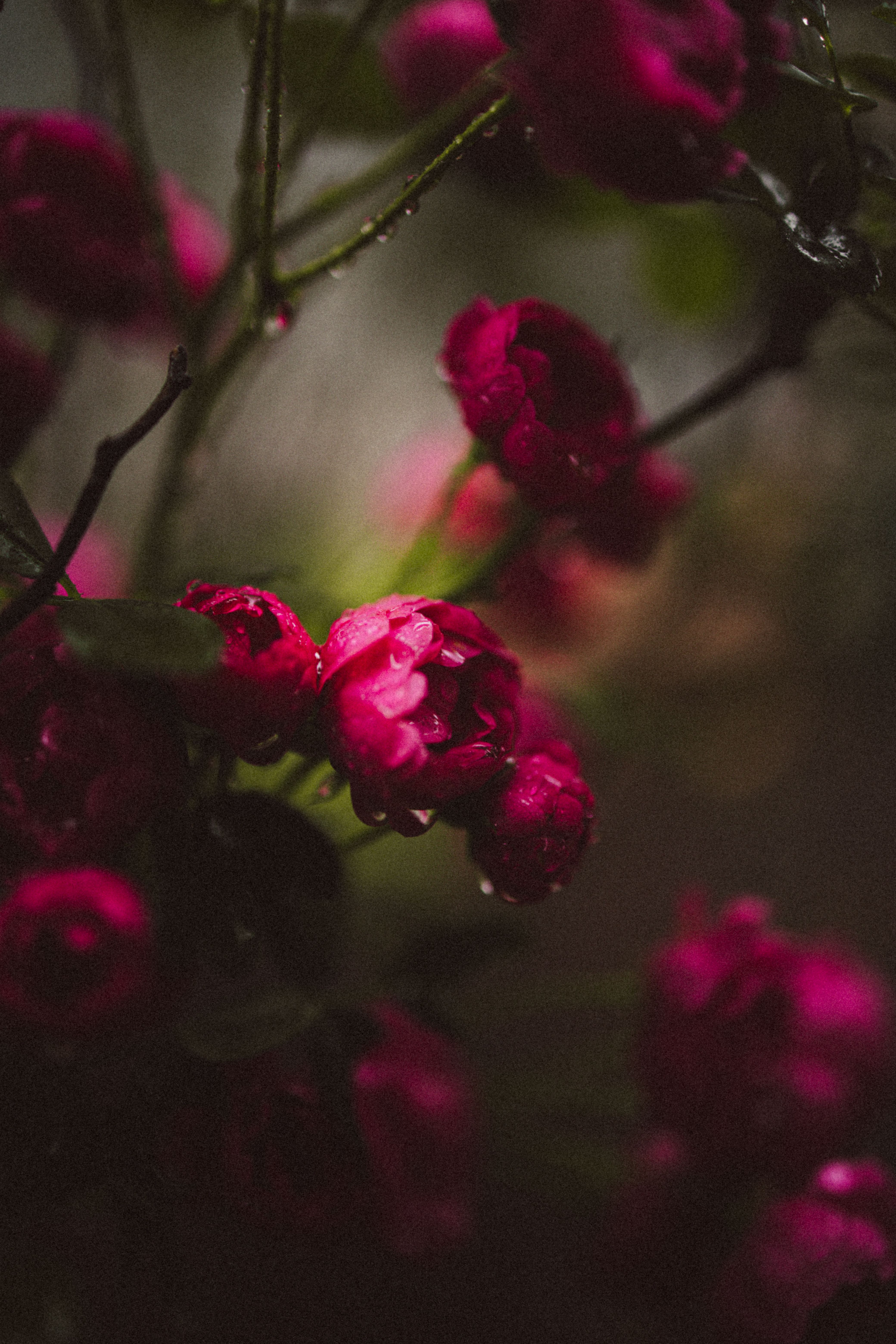 6+7+Wallpaper Photos, Download The BEST Free 6+7+Wallpaper Stock Photos ...