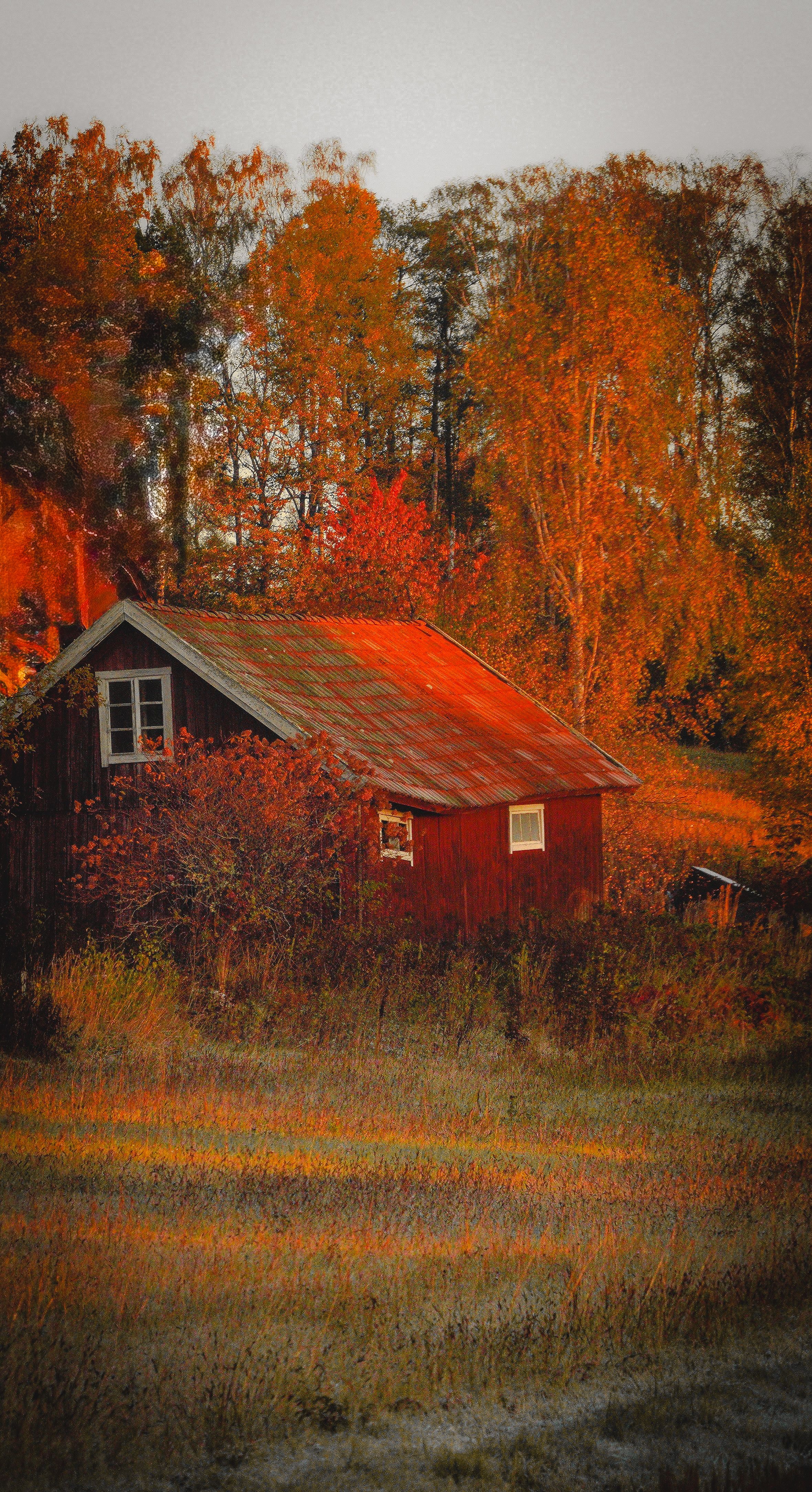 Charmante Cabane Rustique Au Milieu D'un Feuillage D'automne Vibrant ...