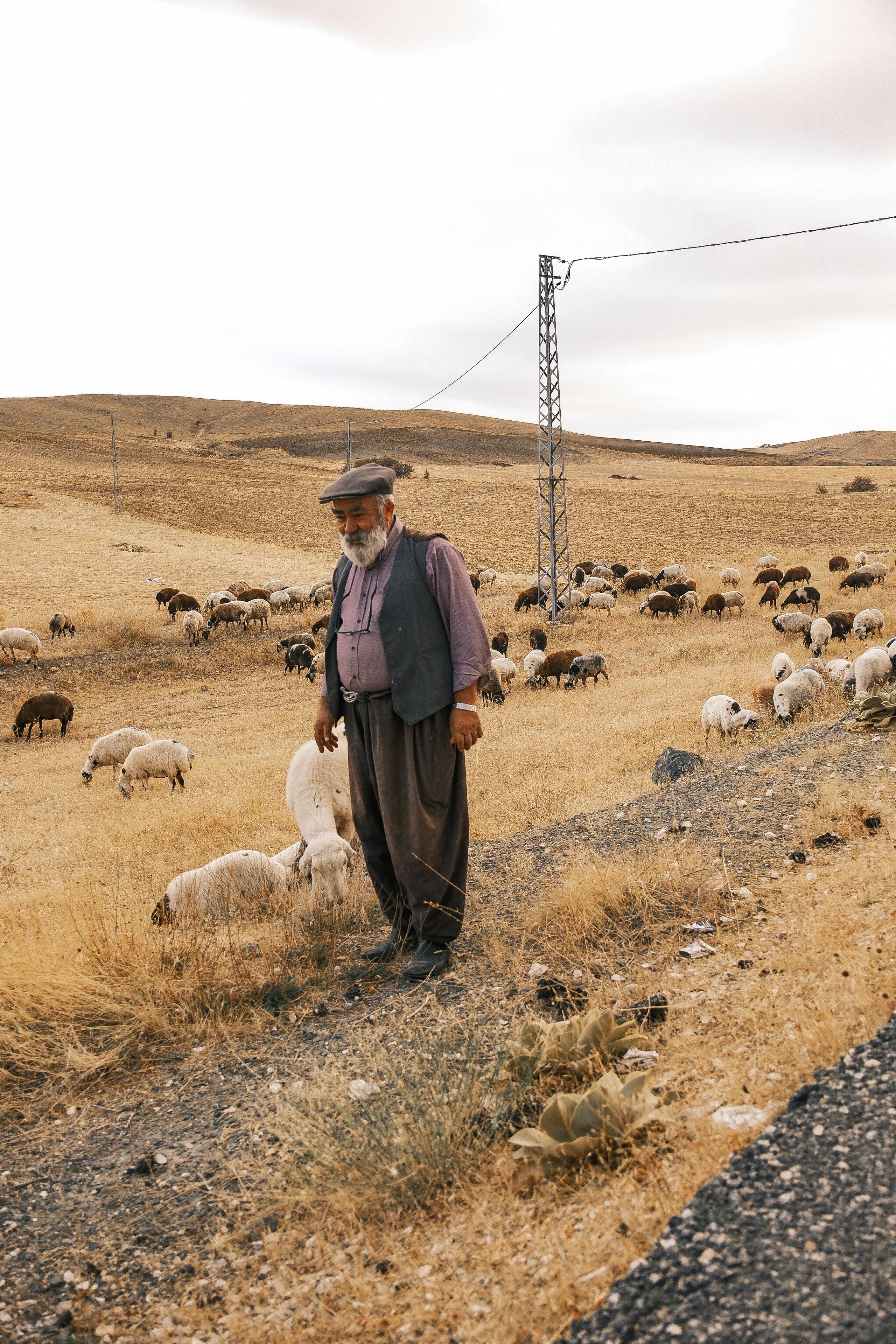 Ent Anatomy Photos, Download The BEST Free Ent Anatomy Stock Photos ...