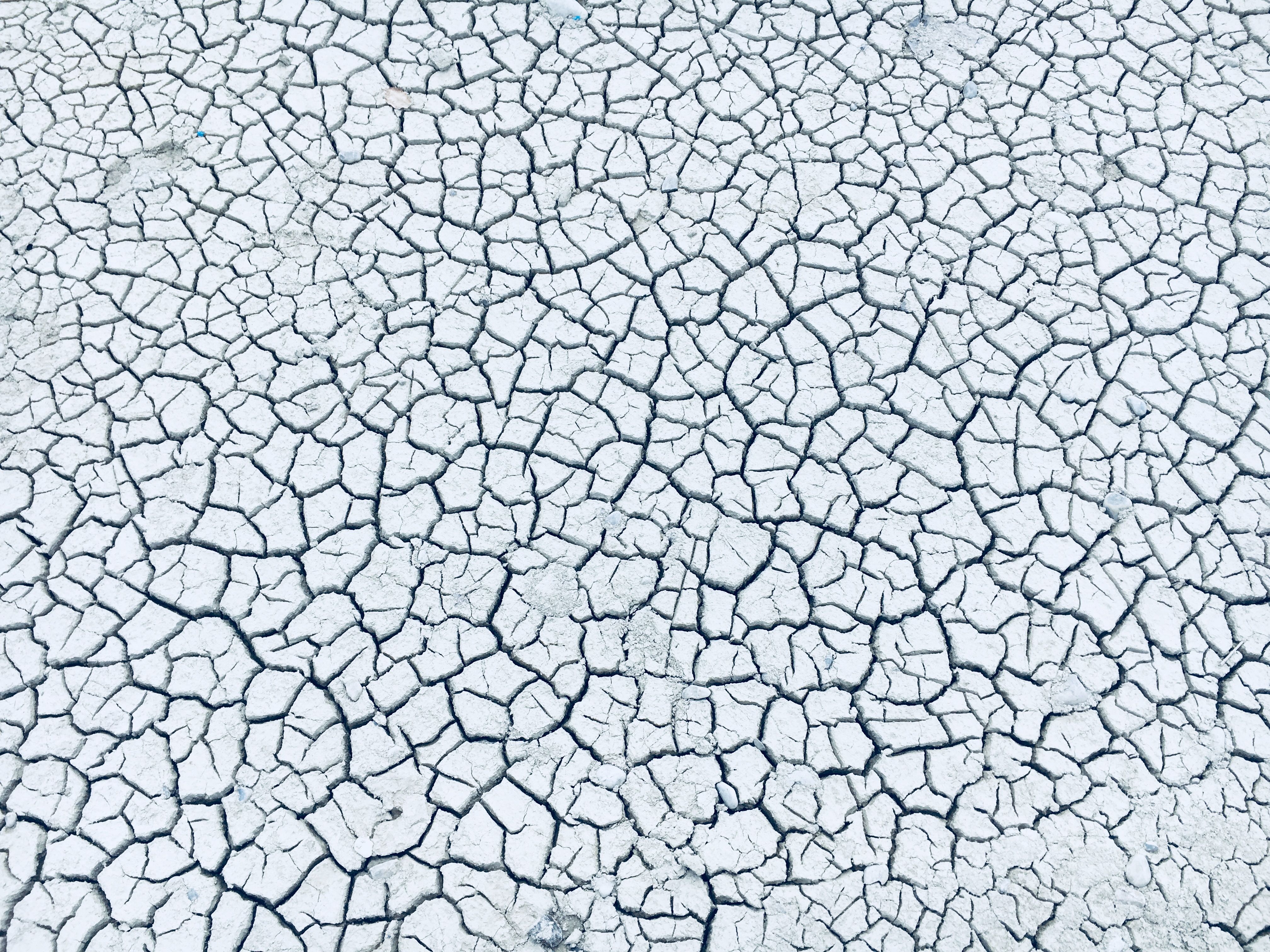 Dry cracked surface in nature · Free Stock Photo