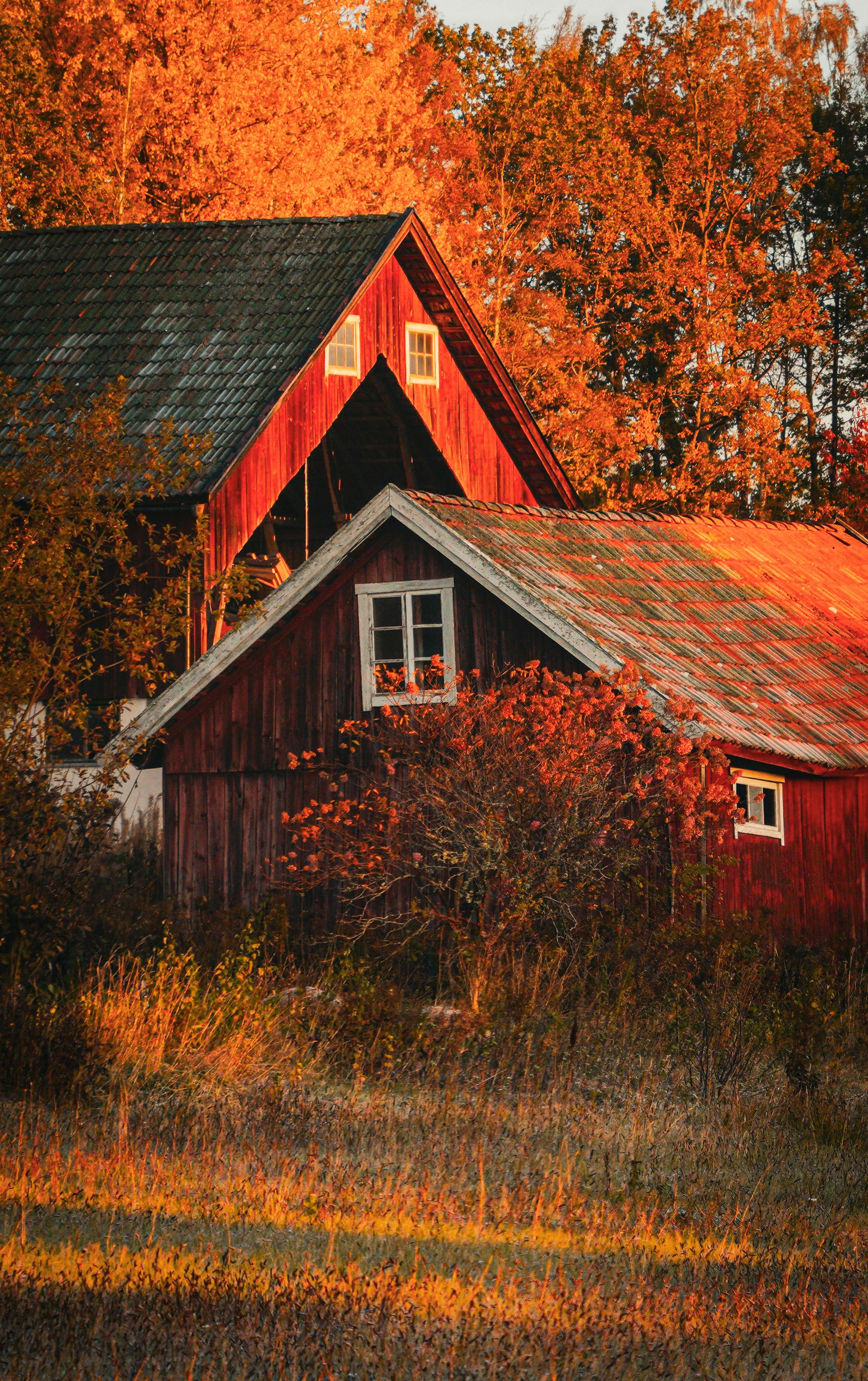 Rustic Red Barn in Autumn Landscape · Free Stock Photo